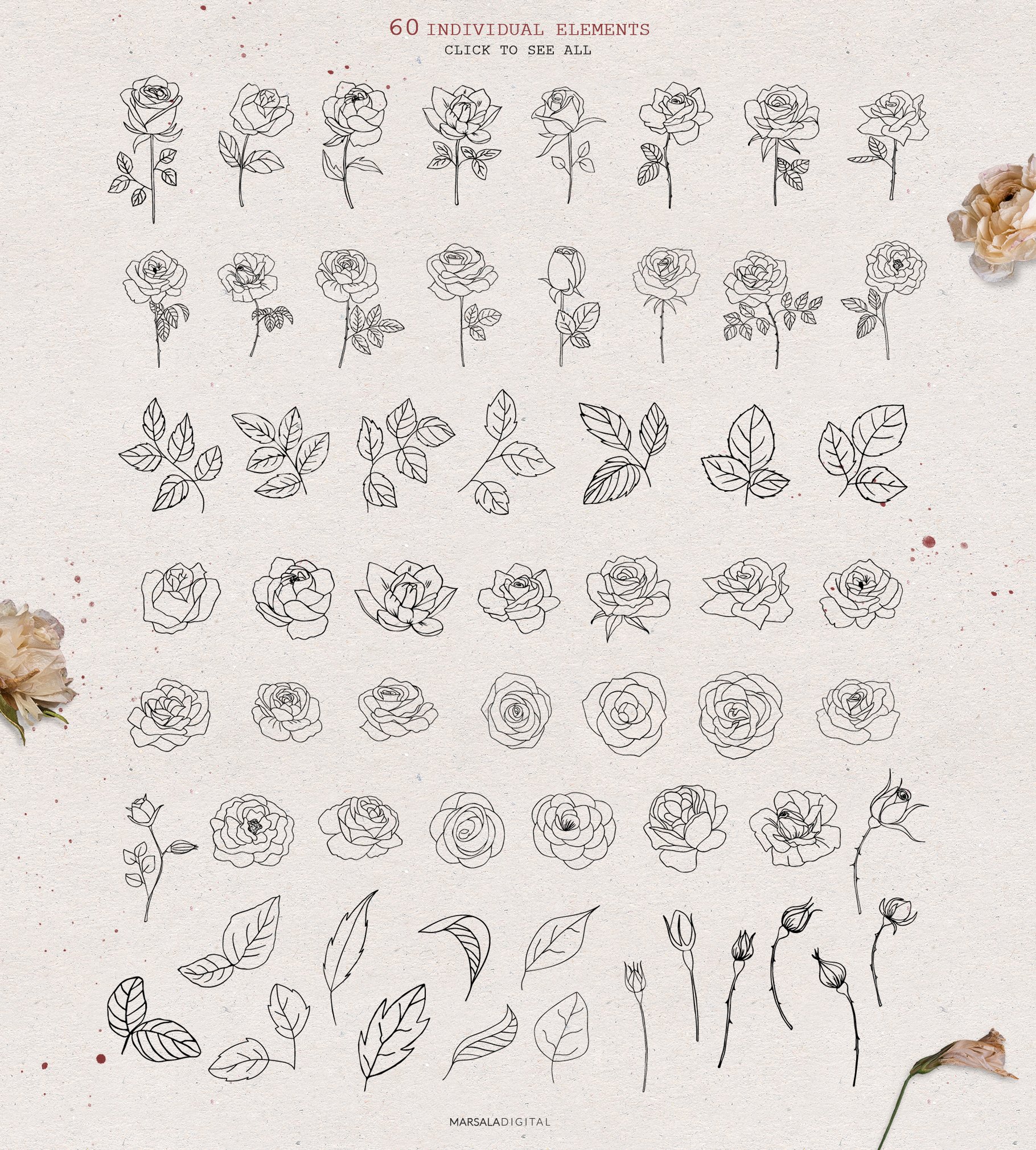 Floral Fine Art Suite, Sketch Vector, Roses Line Art Vector (281712 ...