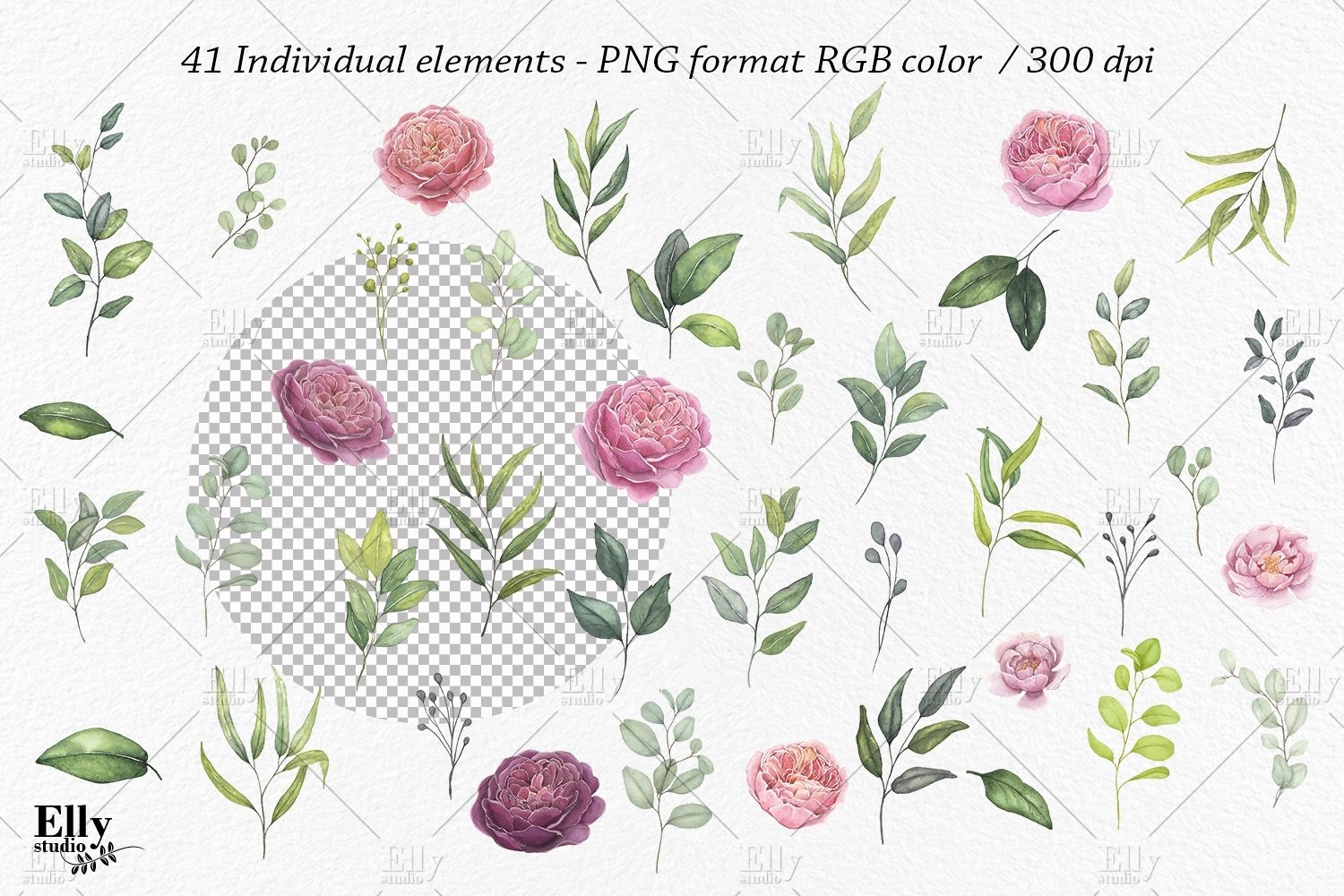 Roses Watercolor Floral Collection Clip Art Flowers (544935 ...