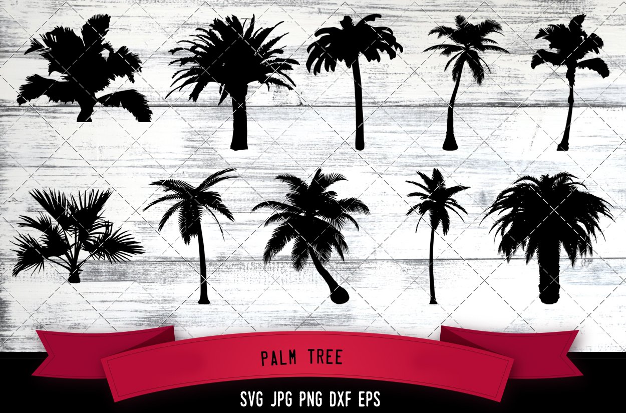 Palm tree Cut file Svg (656028) | Cut Files | Design Bundles