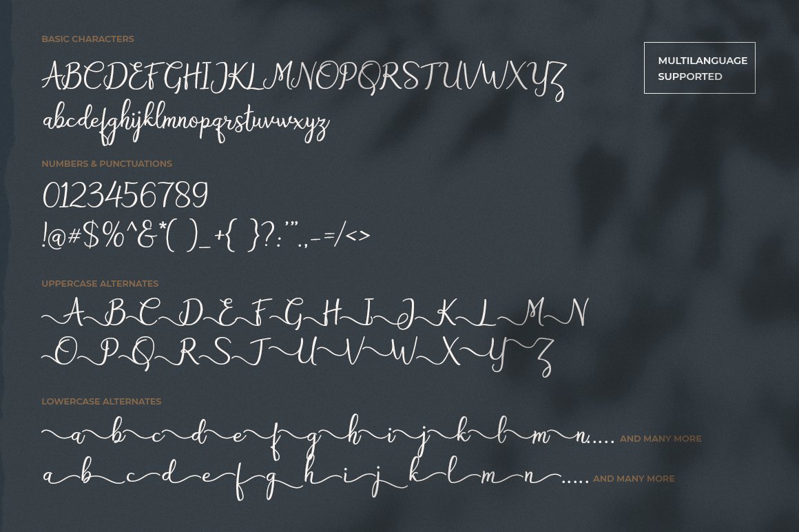 Bryan Letter - Hand-Lettered Script Font (808317) | Handwritten | Font ...