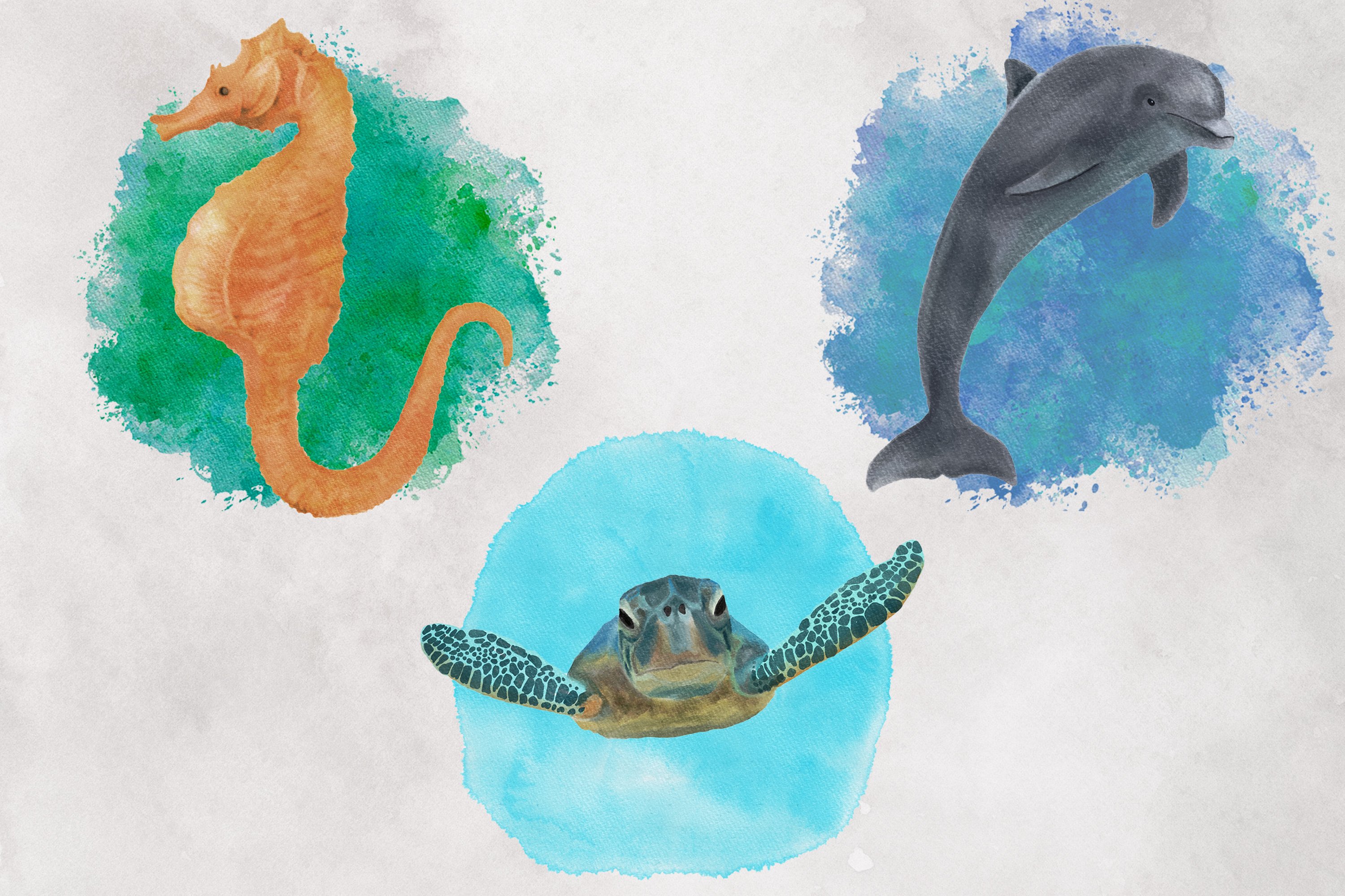 Ocean Watercolor Clipart Bundle (880716) | Illustrations | Design Bundles