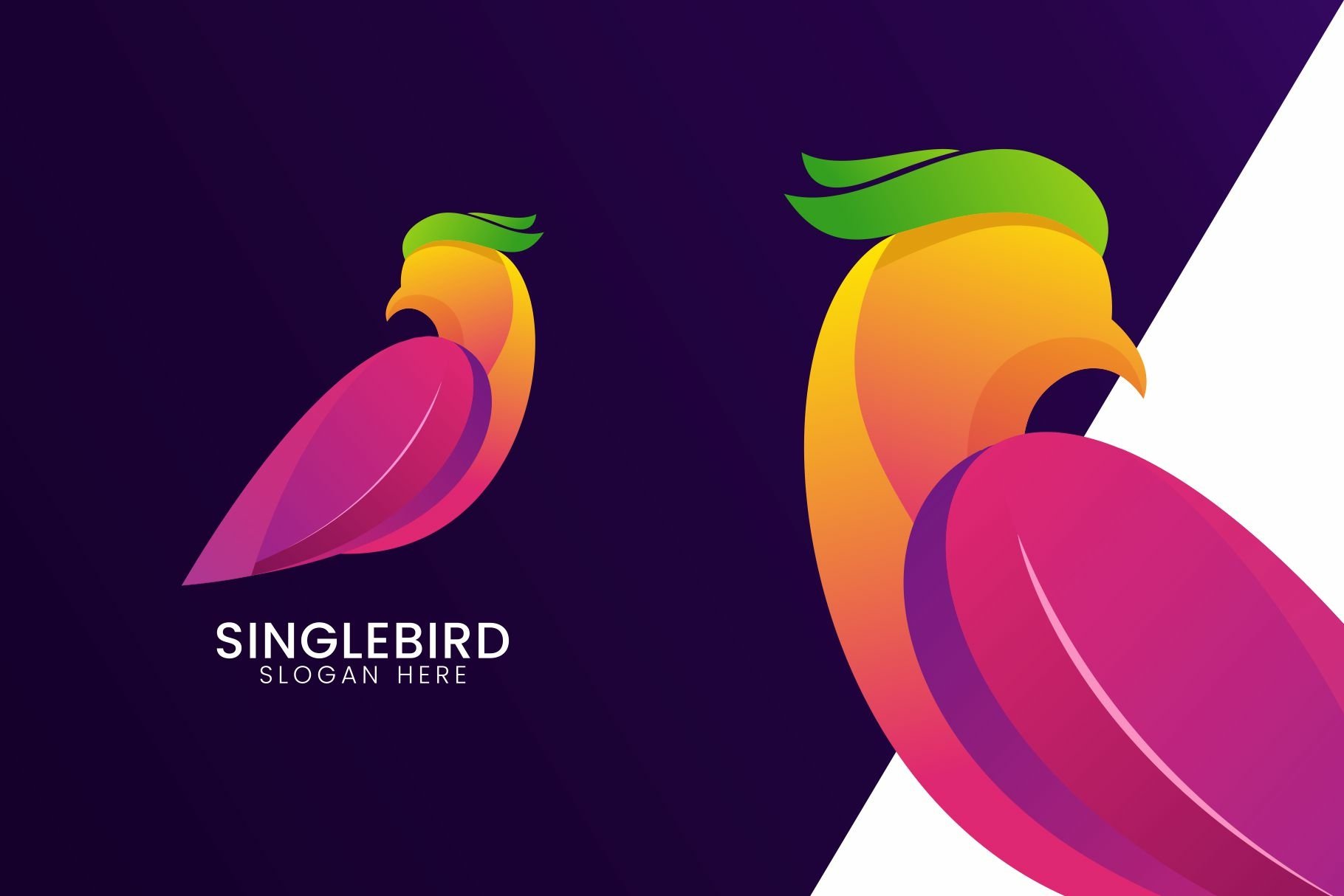Bird Graphic Design