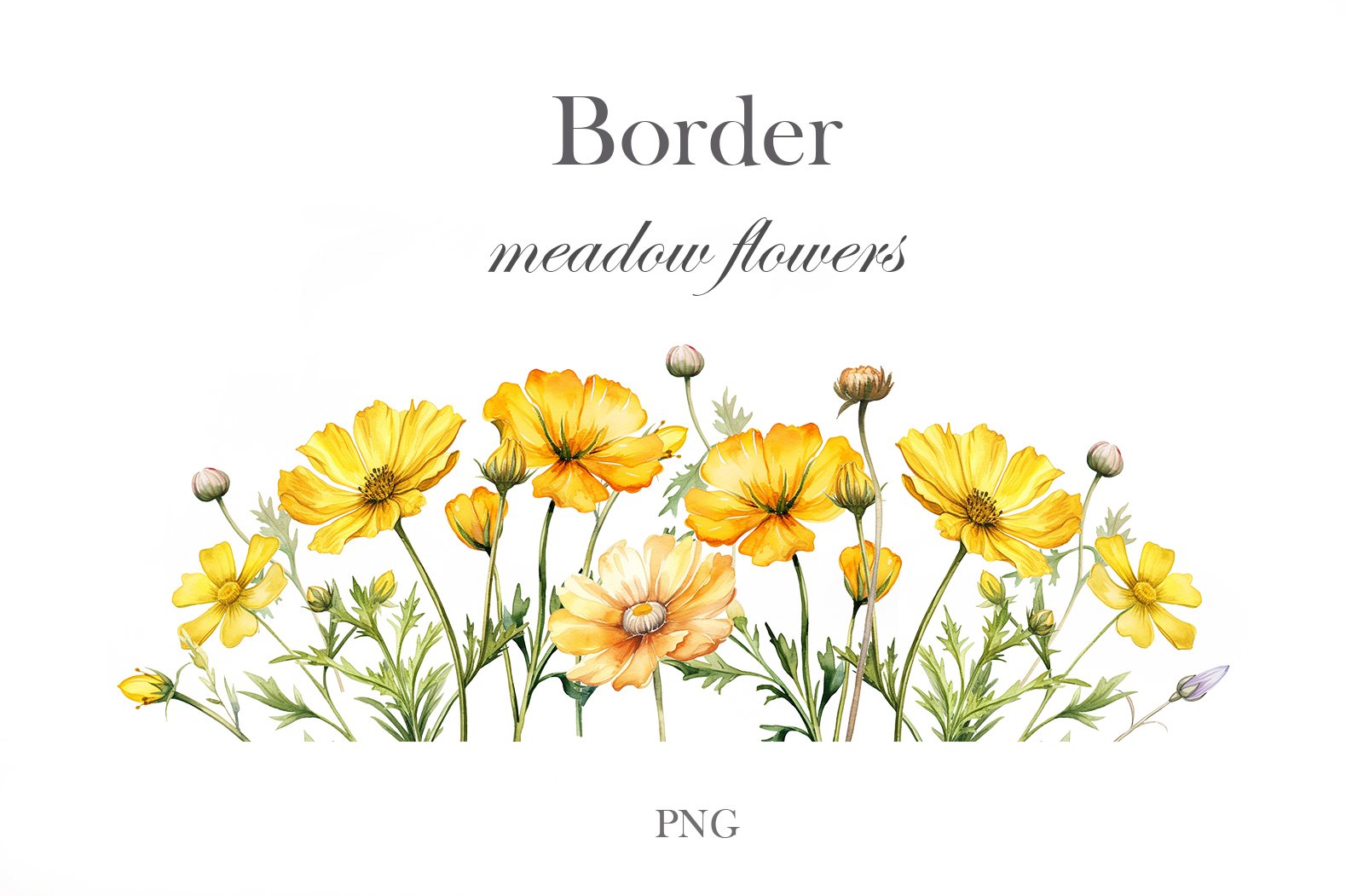Yellow Flowers Border Png Yellow Rose Border 2 Designs PNG | Pdf