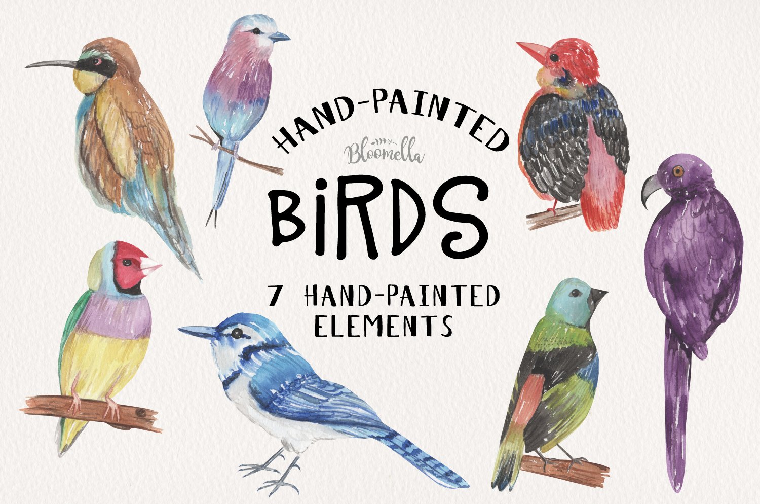 Birds Set Detailed Watercolor Elements Pretty Feathers Bird