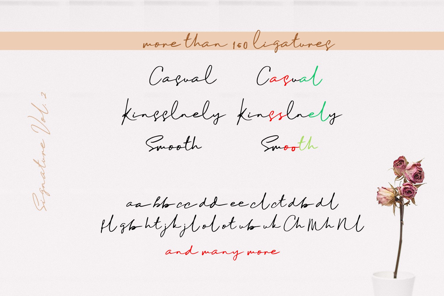 Daniels Signature (236210) | Script | Font Bundles