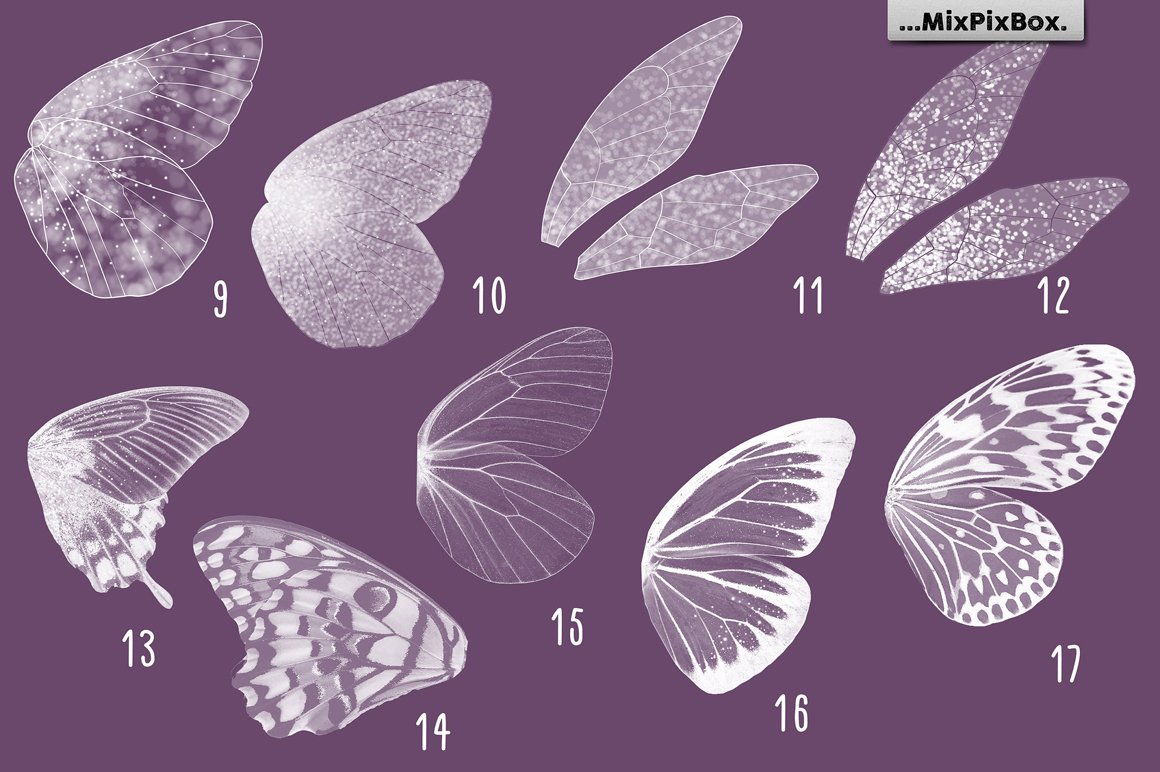 Fairy Wings Photo Overlays (347813) | Textures | Design Bundles