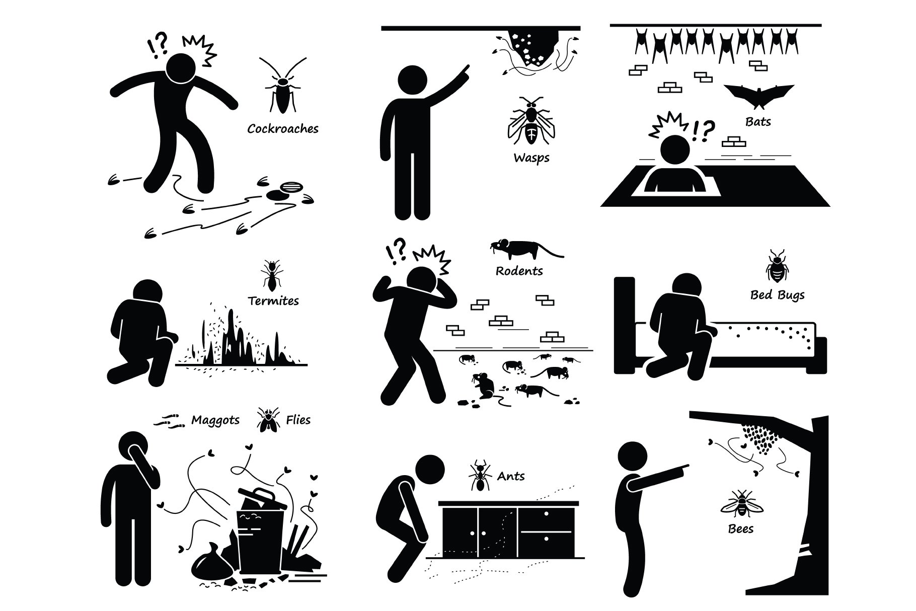 Infestation Pests Cockroaches Wasp Bats Termites Rats Bugs (755449 ...