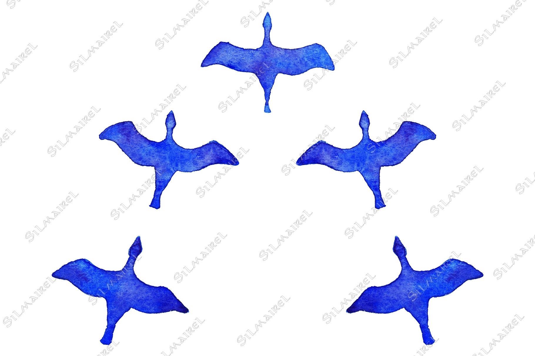 Watercolor hand drawn blue violet bird set isolated (1012220 ...