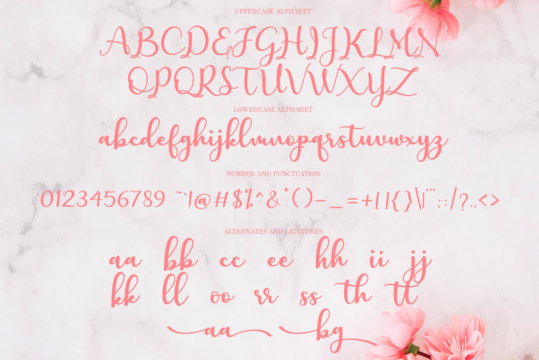 Charlotte (225122) | Calligraphy | Font Bundles