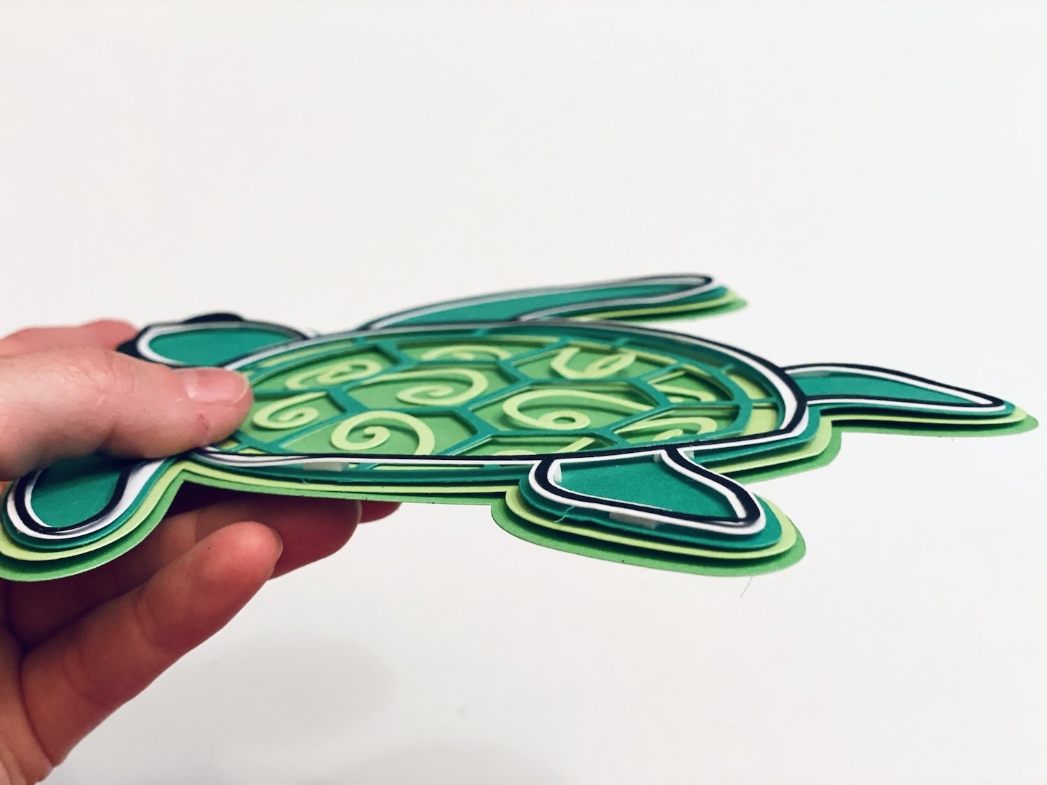 Turtle 3D Layered Design