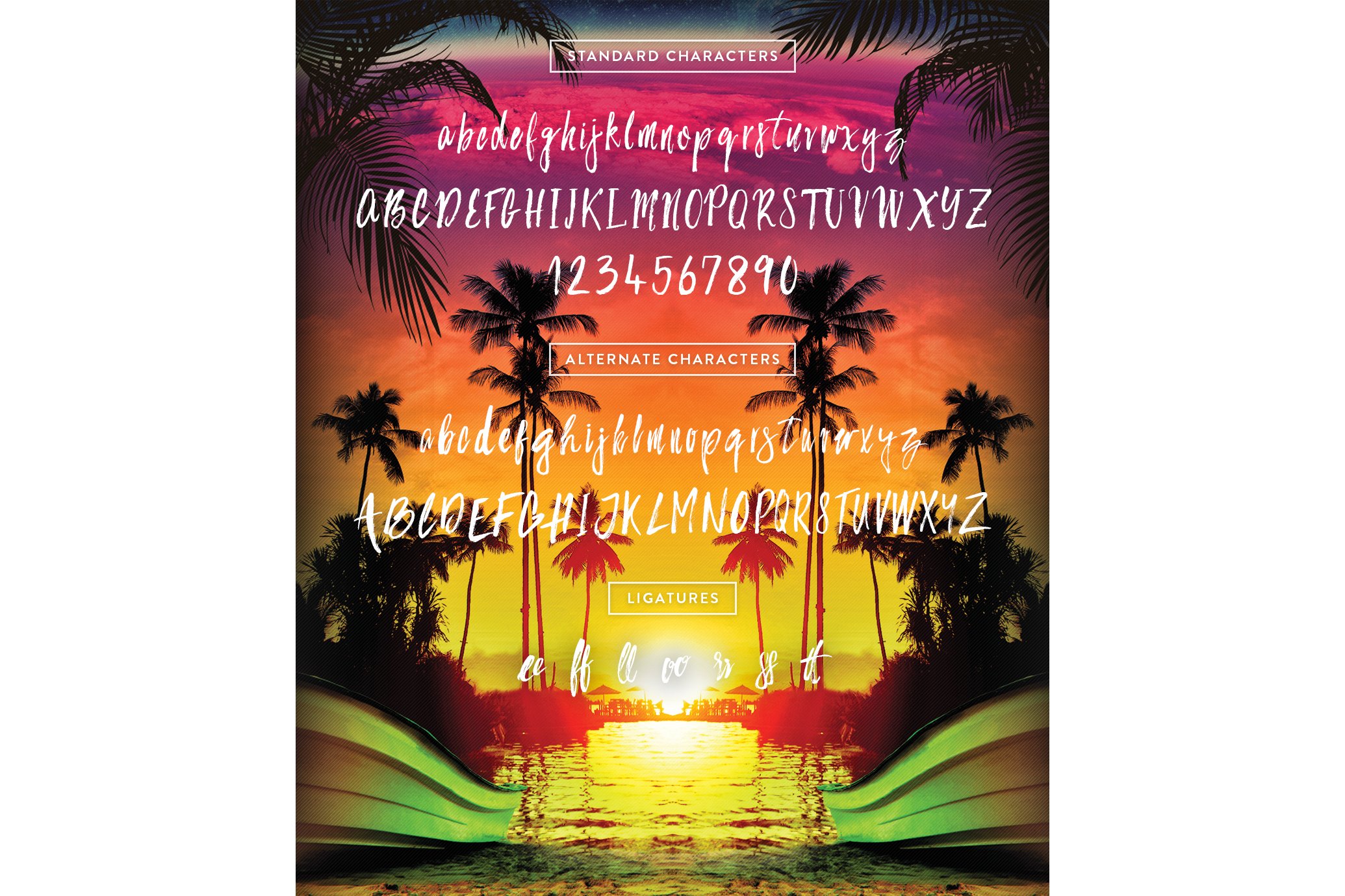 Bahamas Brush Font (8277) | Script | Font Bundles