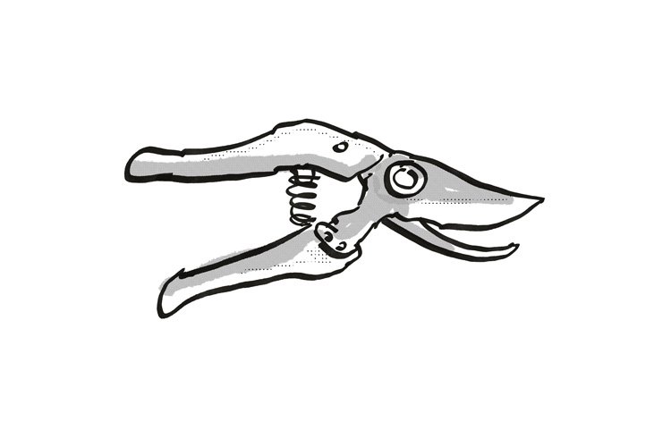Secateurs Garden Tool Cartoon Retro Drawing (363412) | Illustrations ...