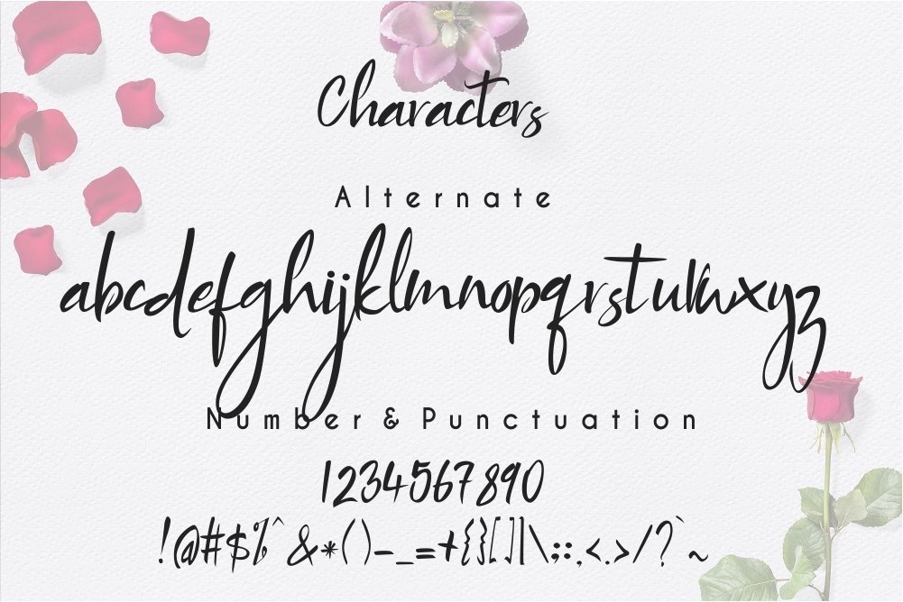 Brides Story (94035) | Script | Font Bundles
