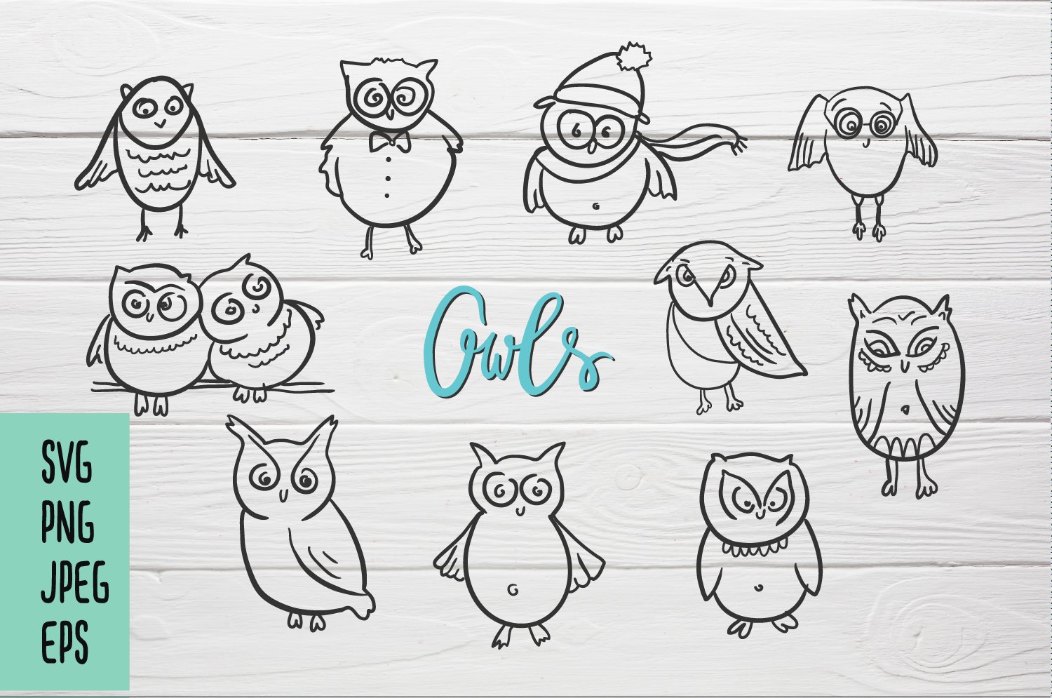 Owls SVG. (762029) | Cut Files | Design Bundles