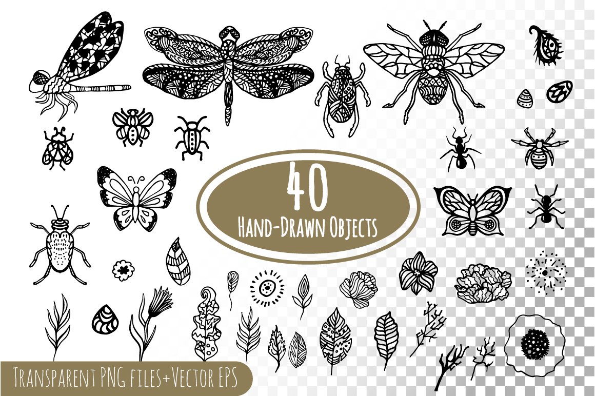 Hand-drawn ink insects and patterns (28231) | Illustrations | Design ...