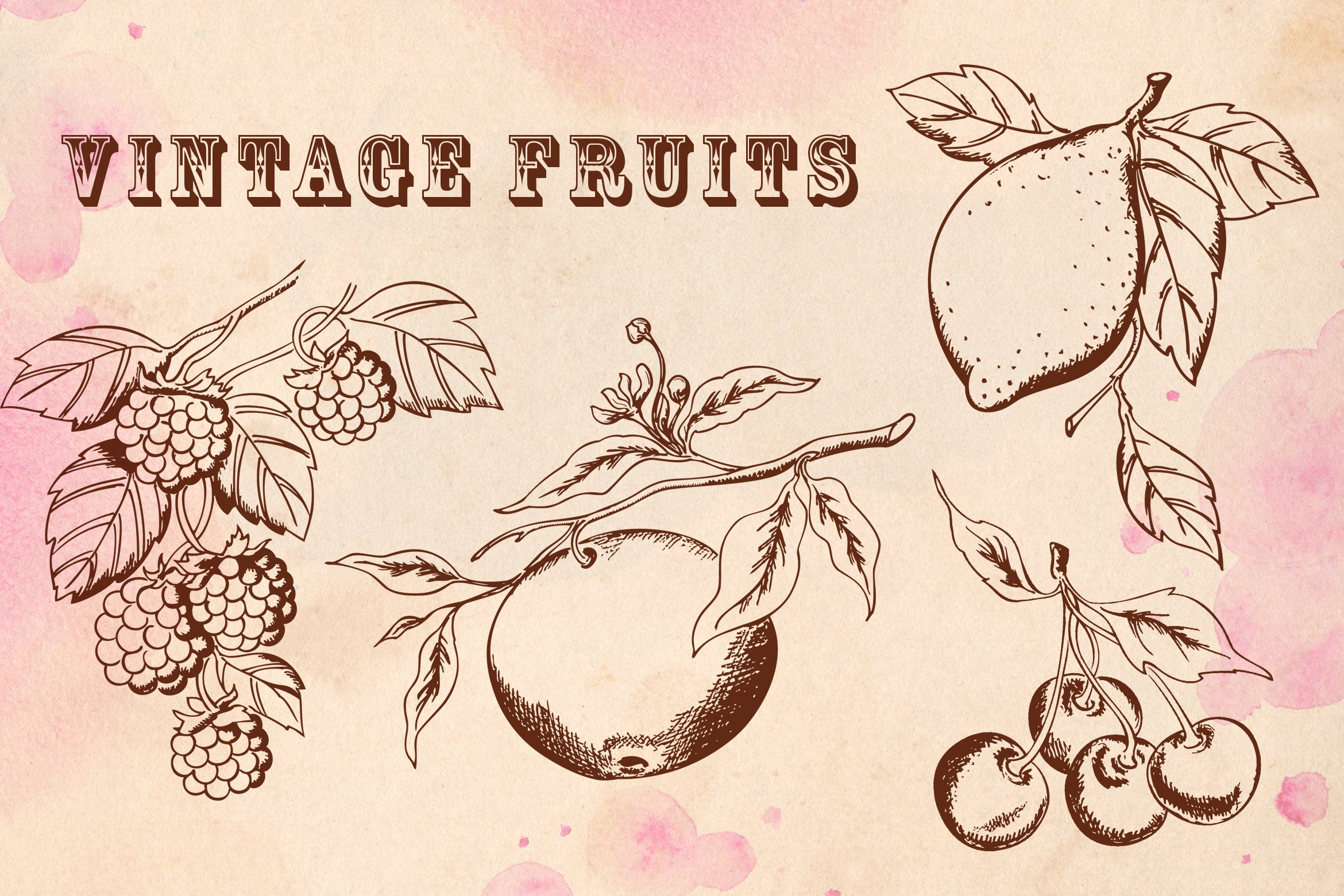 Vintage Vector Fruits (302525) | Illustrations | Design Bundles