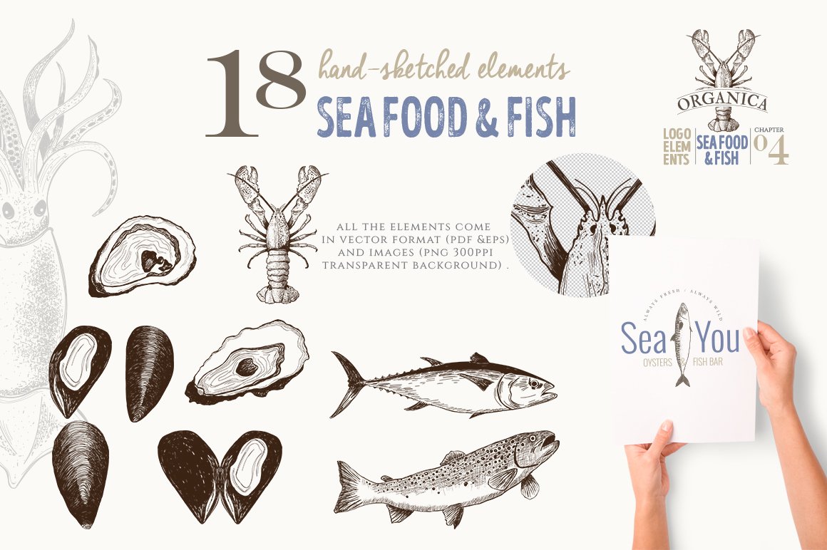 ORGANIC LOGO ELEMENTS SEA FOOD & FISH (14002) | Illustrations | Design ...