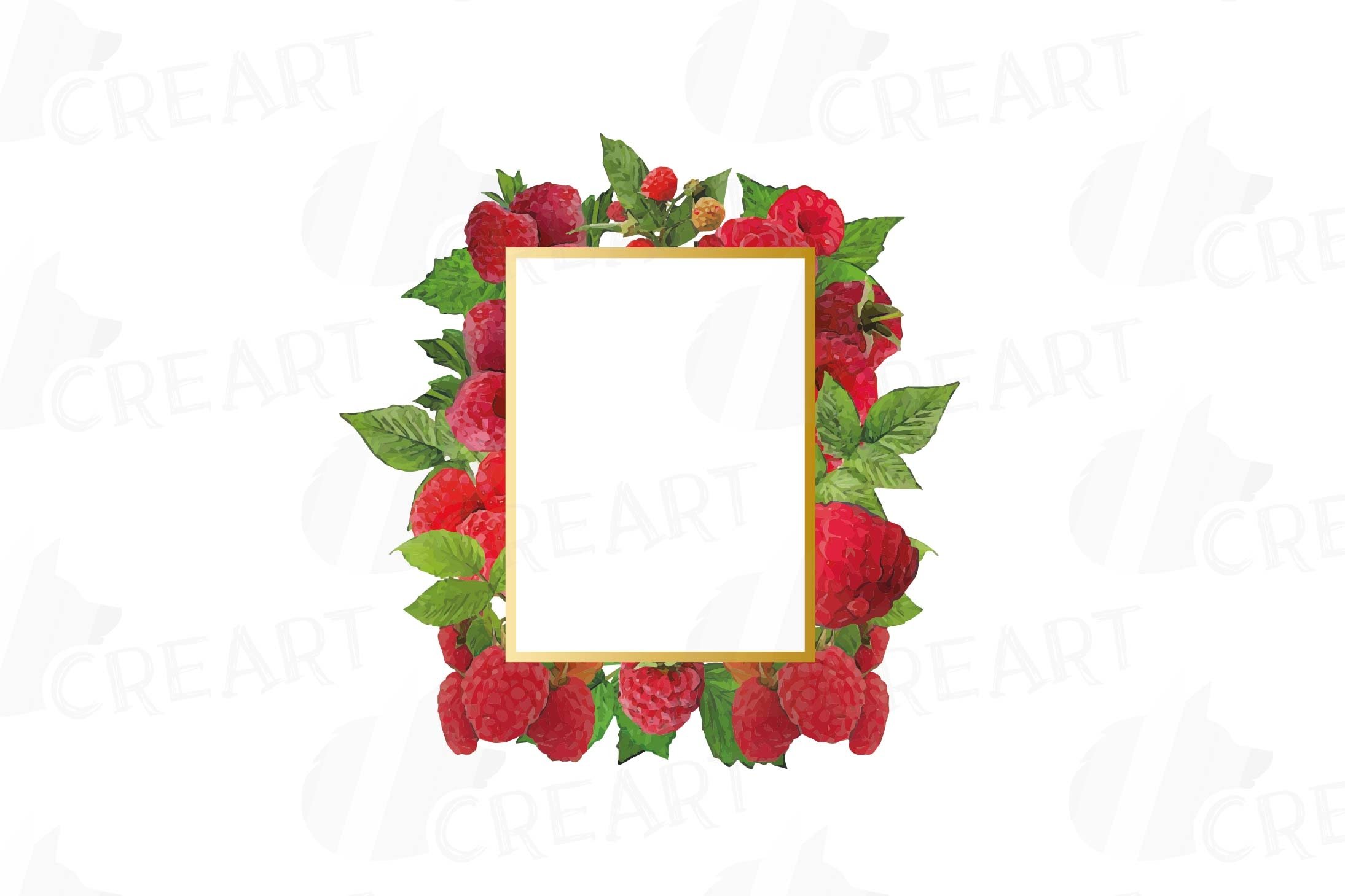 Raspberry frames watercolor clip art pack, Raspberry fruit (114031 ...