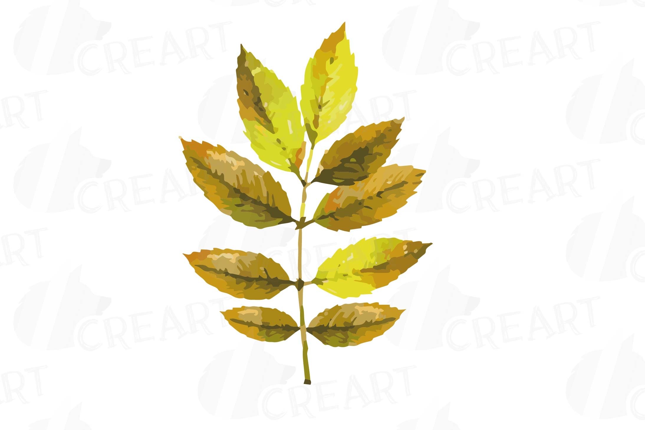 Autumn leafs watercolor clip art pack, watercolor fall frame (134185 ...
