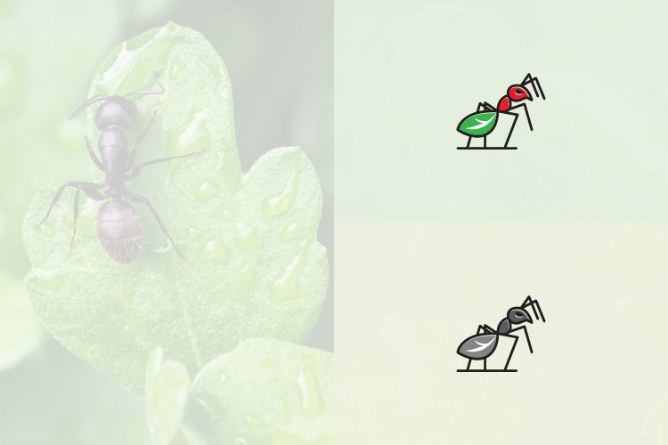 Little Ant Small Insect Abstract Leaf Nature Logo