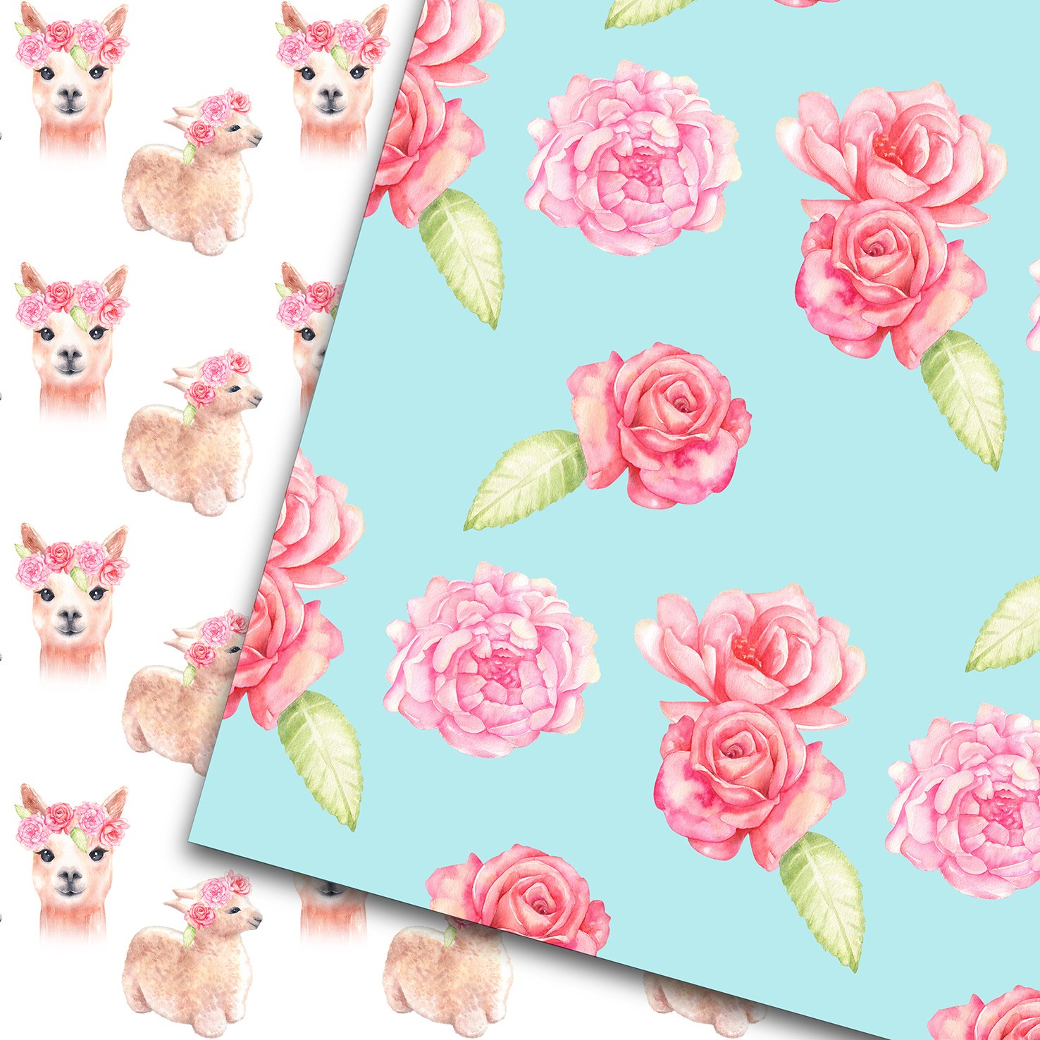 Llama digital paper pack (200277) | Patterns | Design Bundles