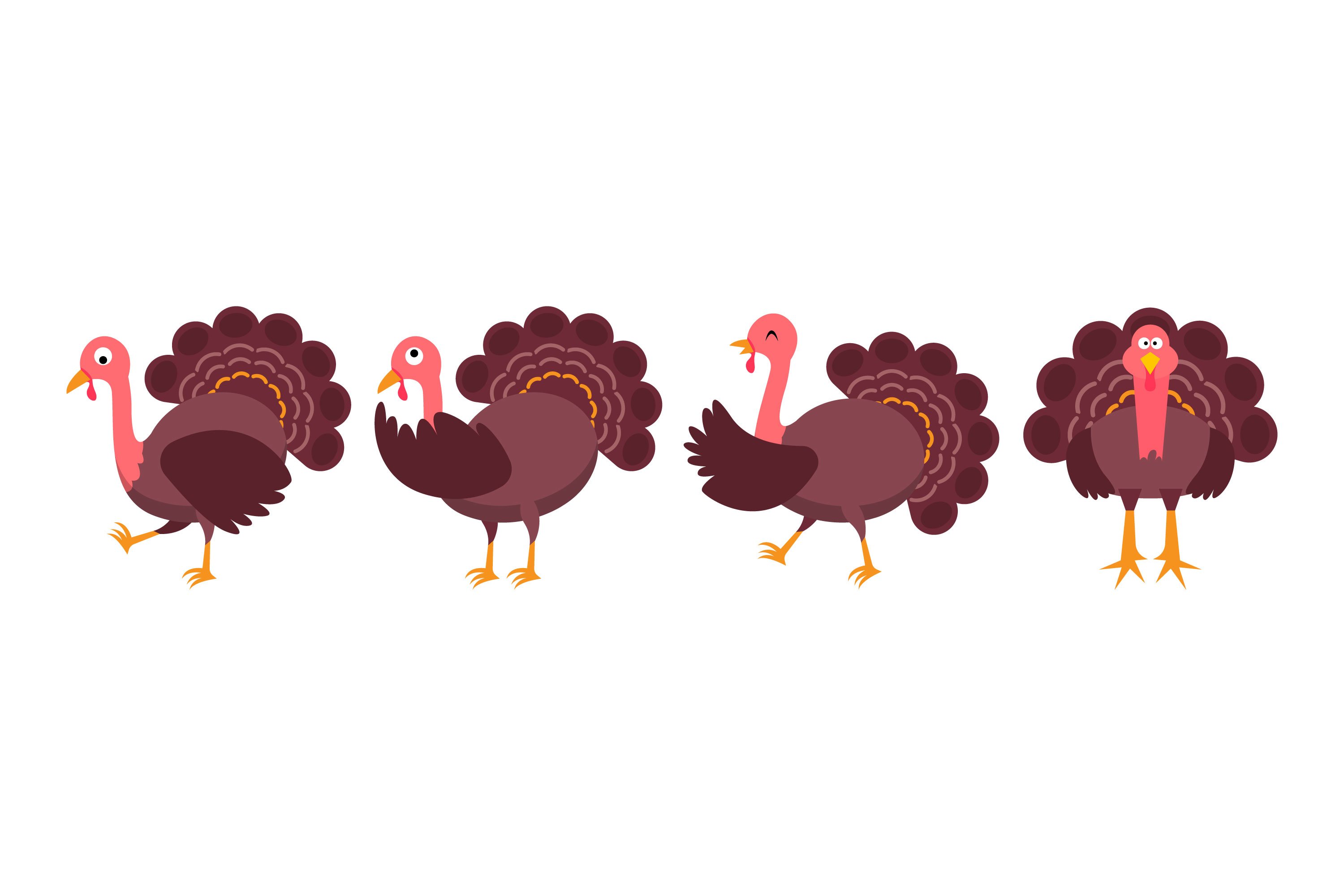 Turkey Illustrations