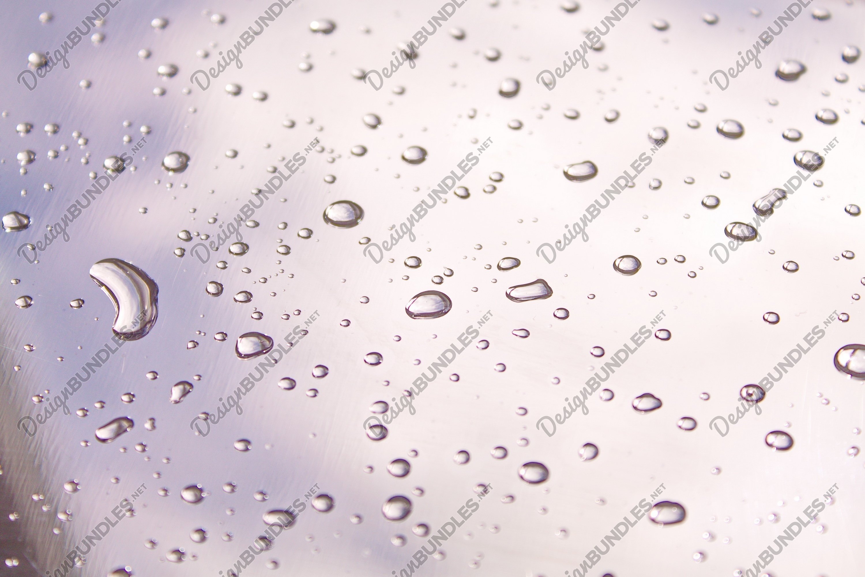 Water drops. Background, texture. (797351) | General | Design Bundles