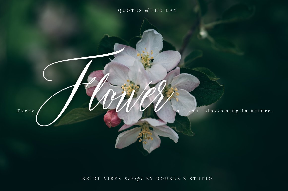 Bride Vibes Script (91821) | Script | Font Bundles