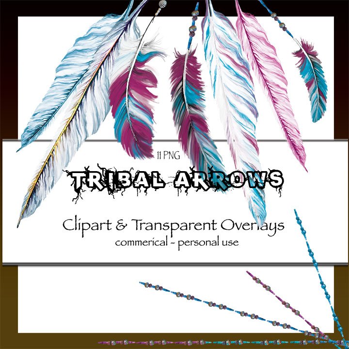 Watercolor Confetti Arrows with Feathers & Beads (24662 ...