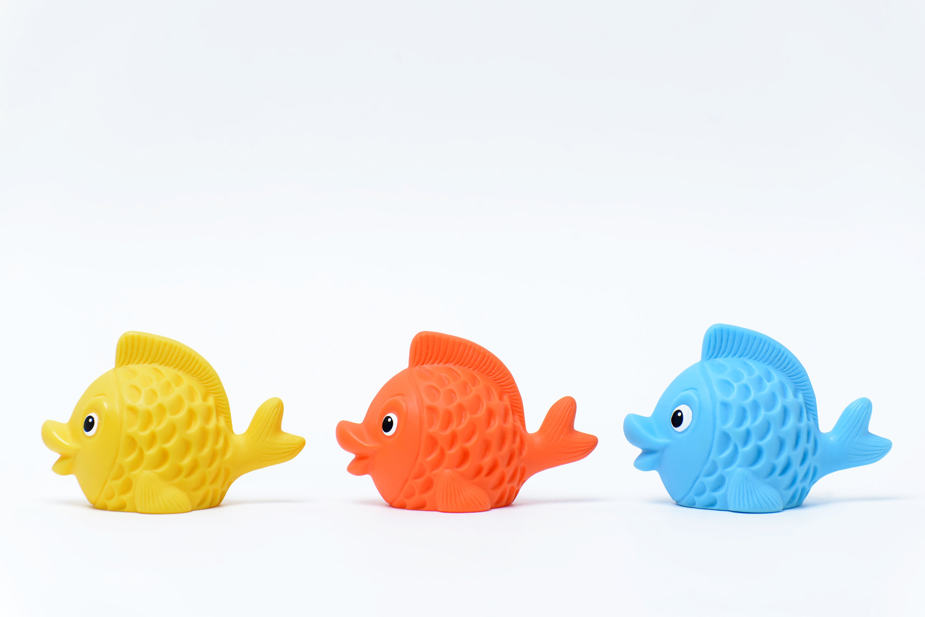 Toy rubber fish on a white background (623380) | Conceptual | Design ...