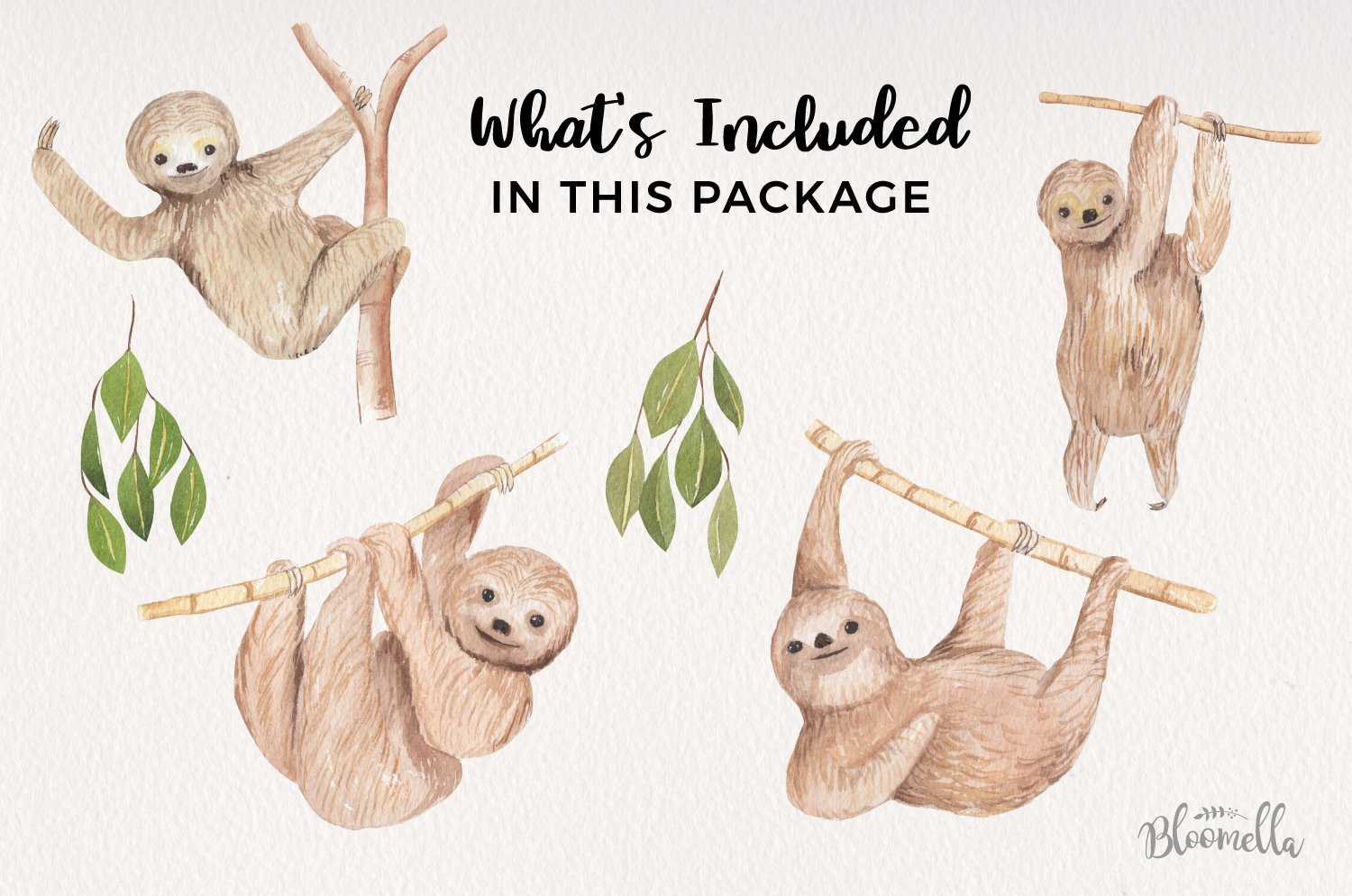 6 Watercolor Sloths Animal Hand Painted Cute Sloth Set Leaf