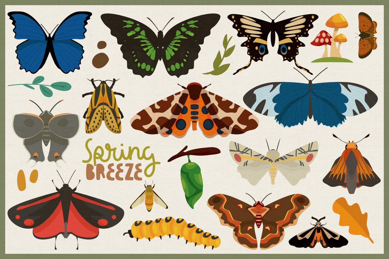 Moths and Butterflies Vector Clipart and Seamless Pattern