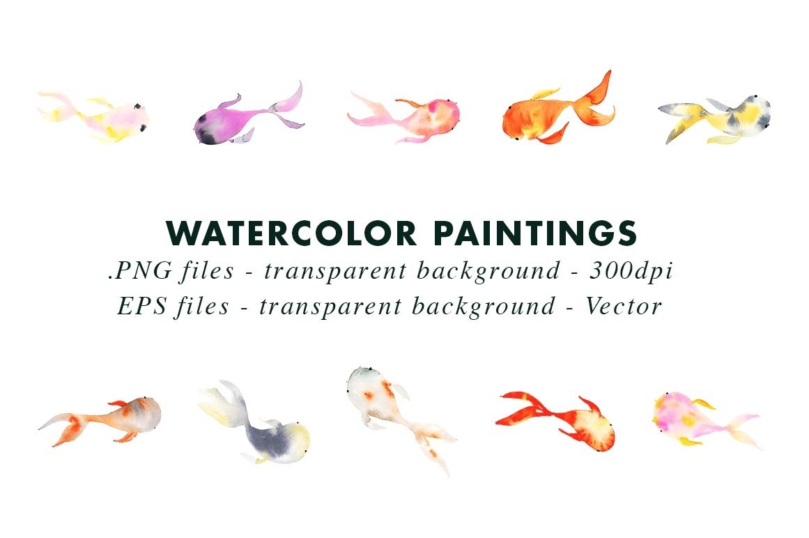 Watercolor Koi Fish Illustration Clip Art in PNG & EPS