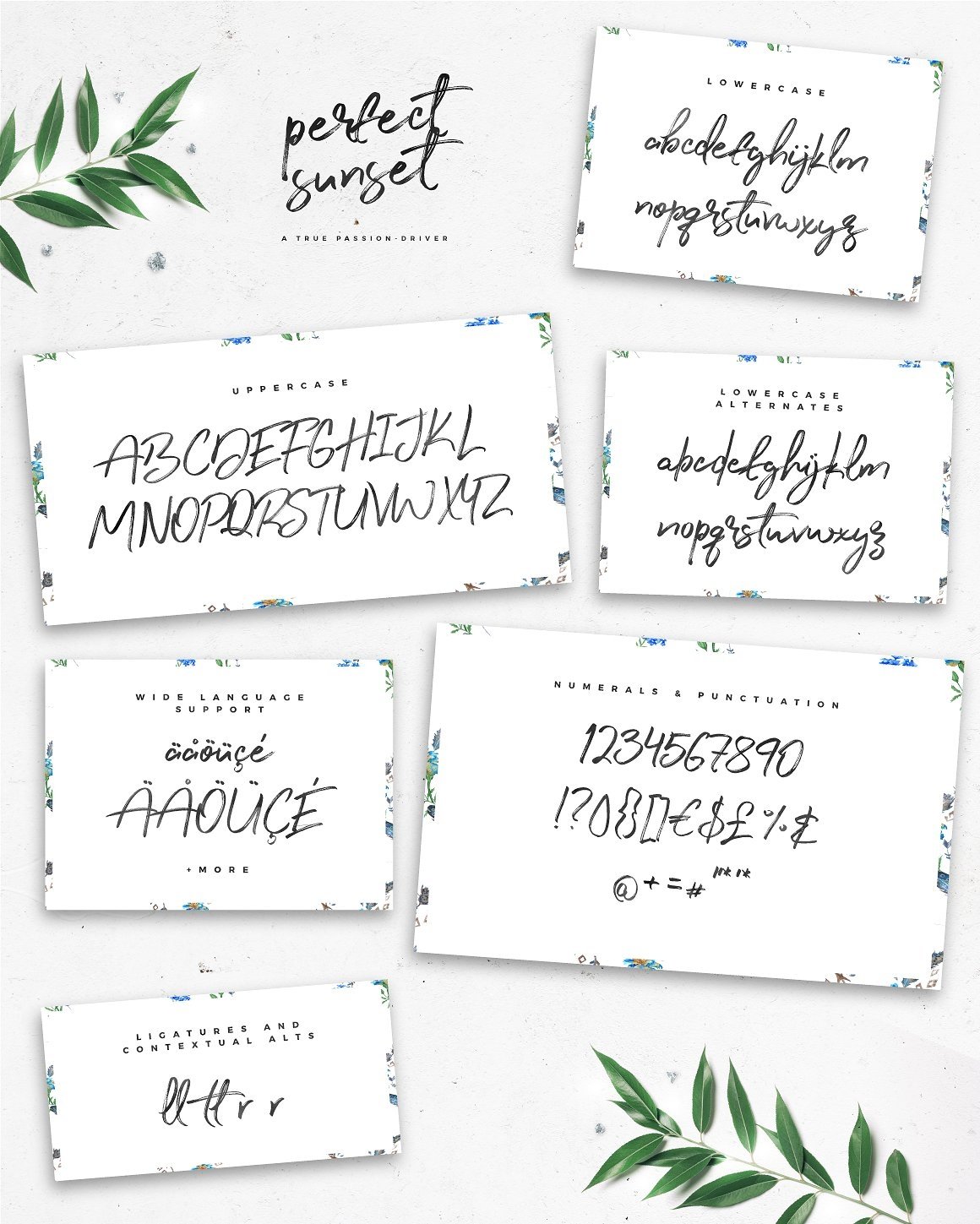 Perfect Sunset Typeface (19712) | Script | Font Bundles