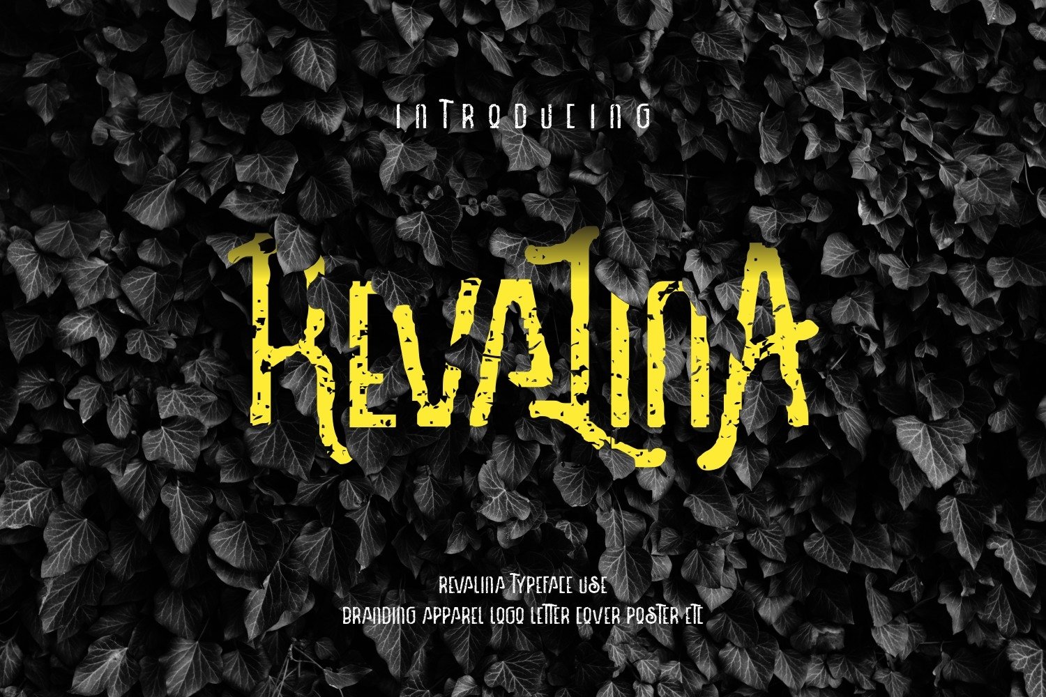 Revalina (1933) | Regular | Font Bundles