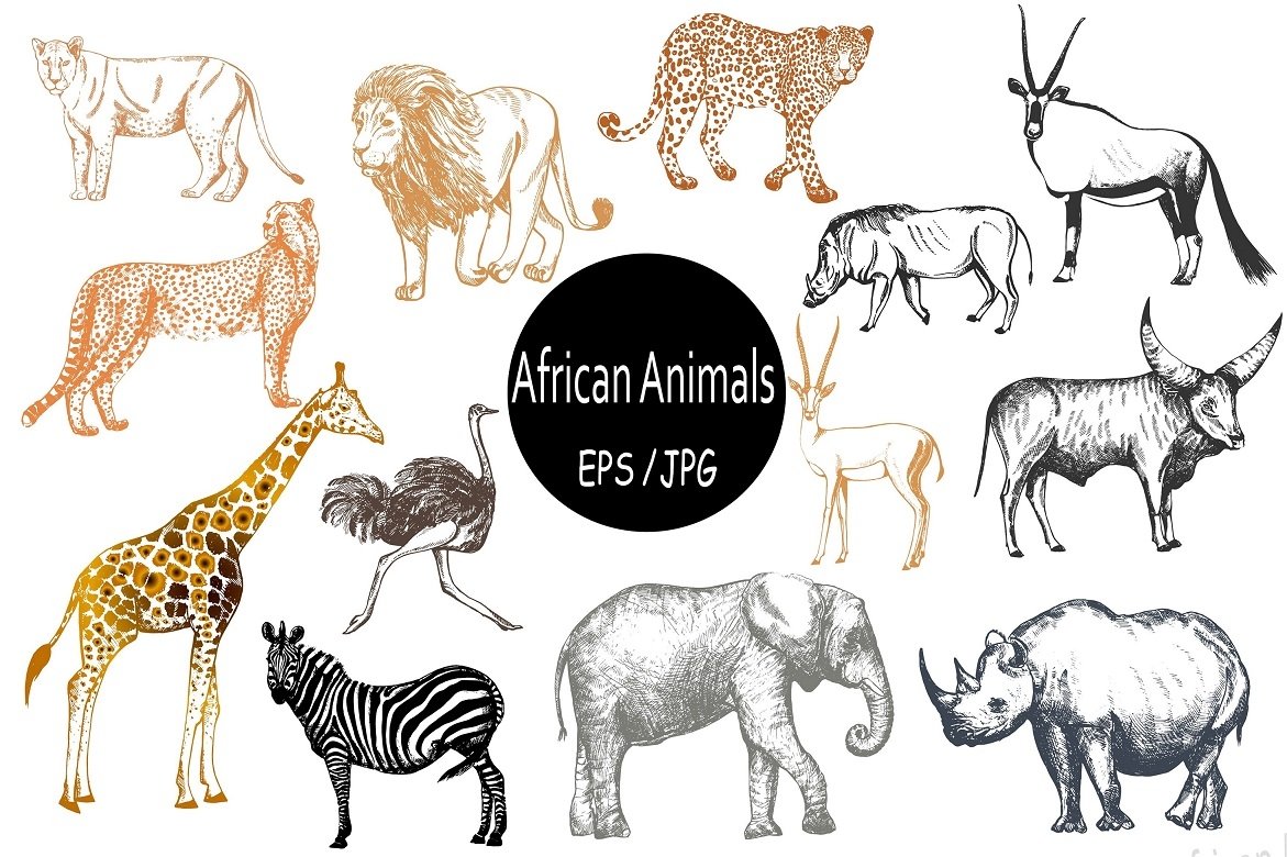 African Animals Clipart Black And White