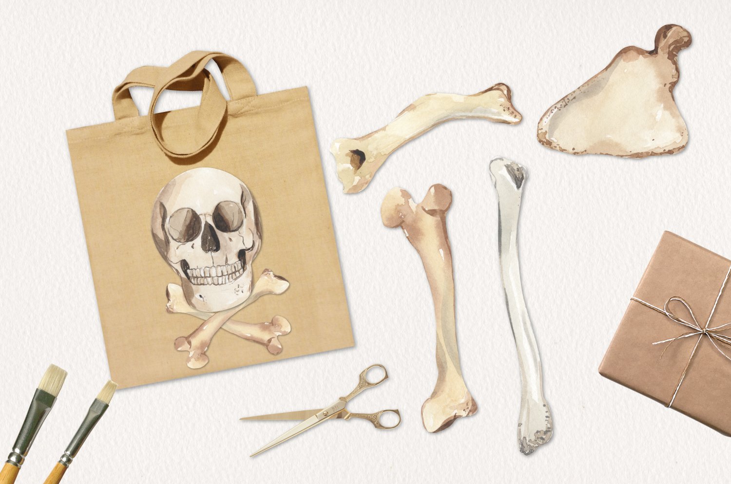 Bones Skull Crossbones Watercolor 12 Elements Bone