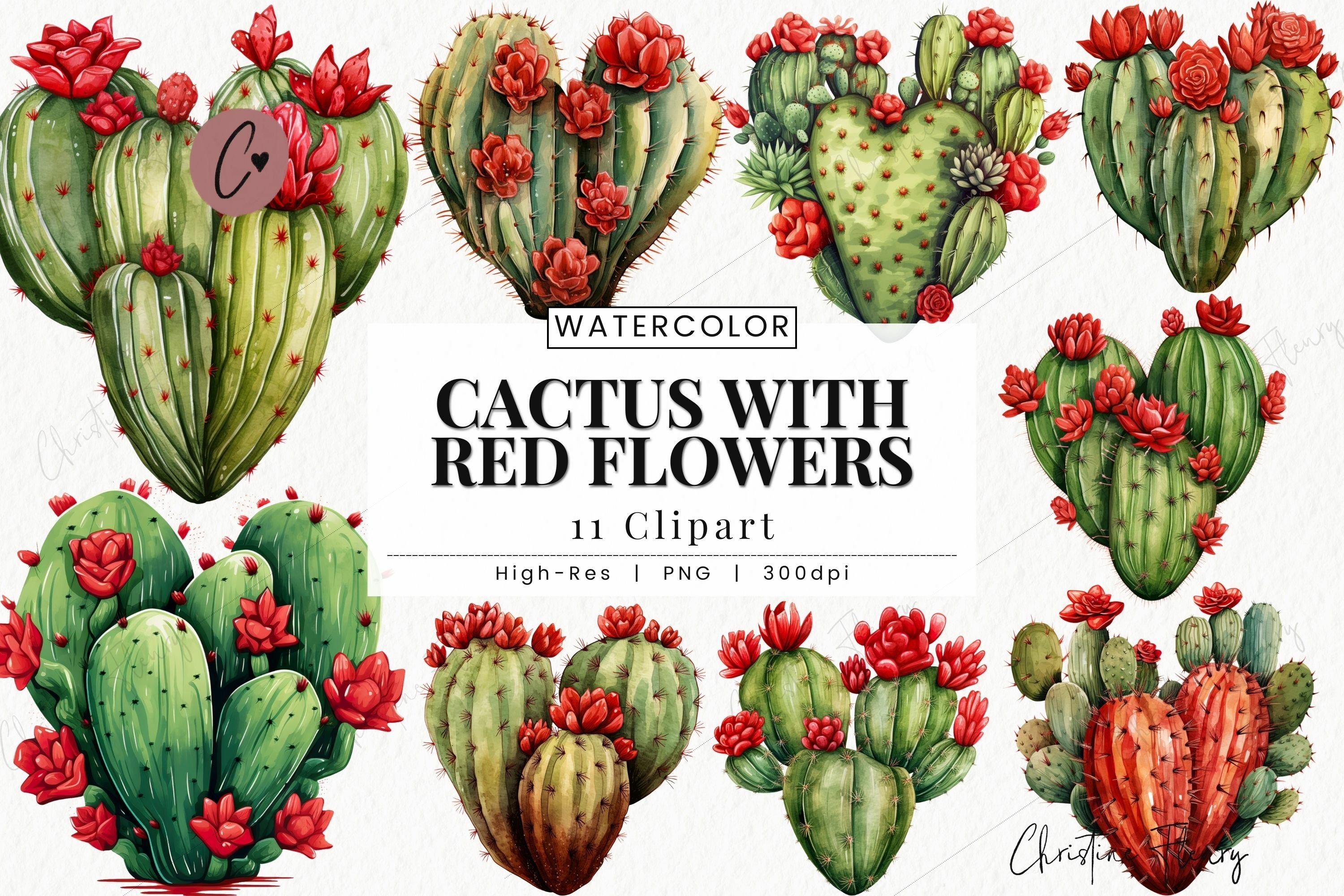 Vintage Cactus Flower Clip Art