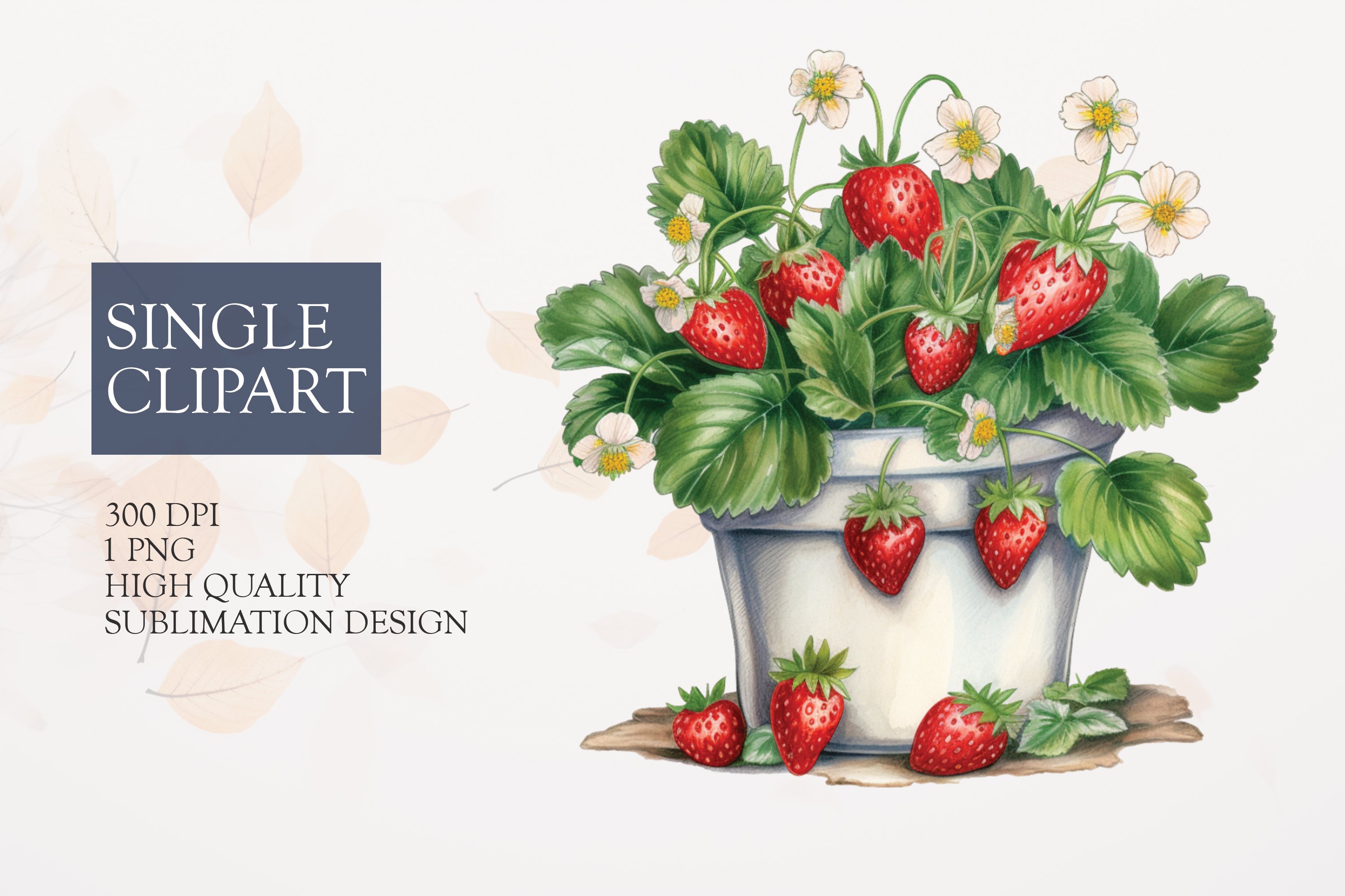 Strawberry Fruit Clip Art