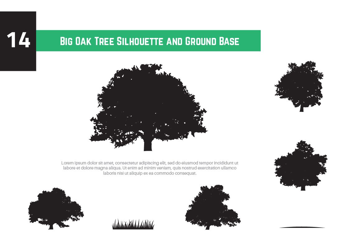 Oak Tree Silhouette Vector Free