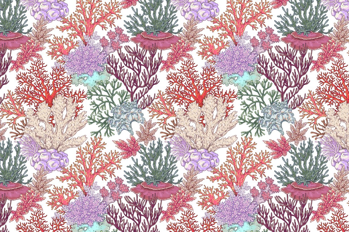 Coral Reef Pattern