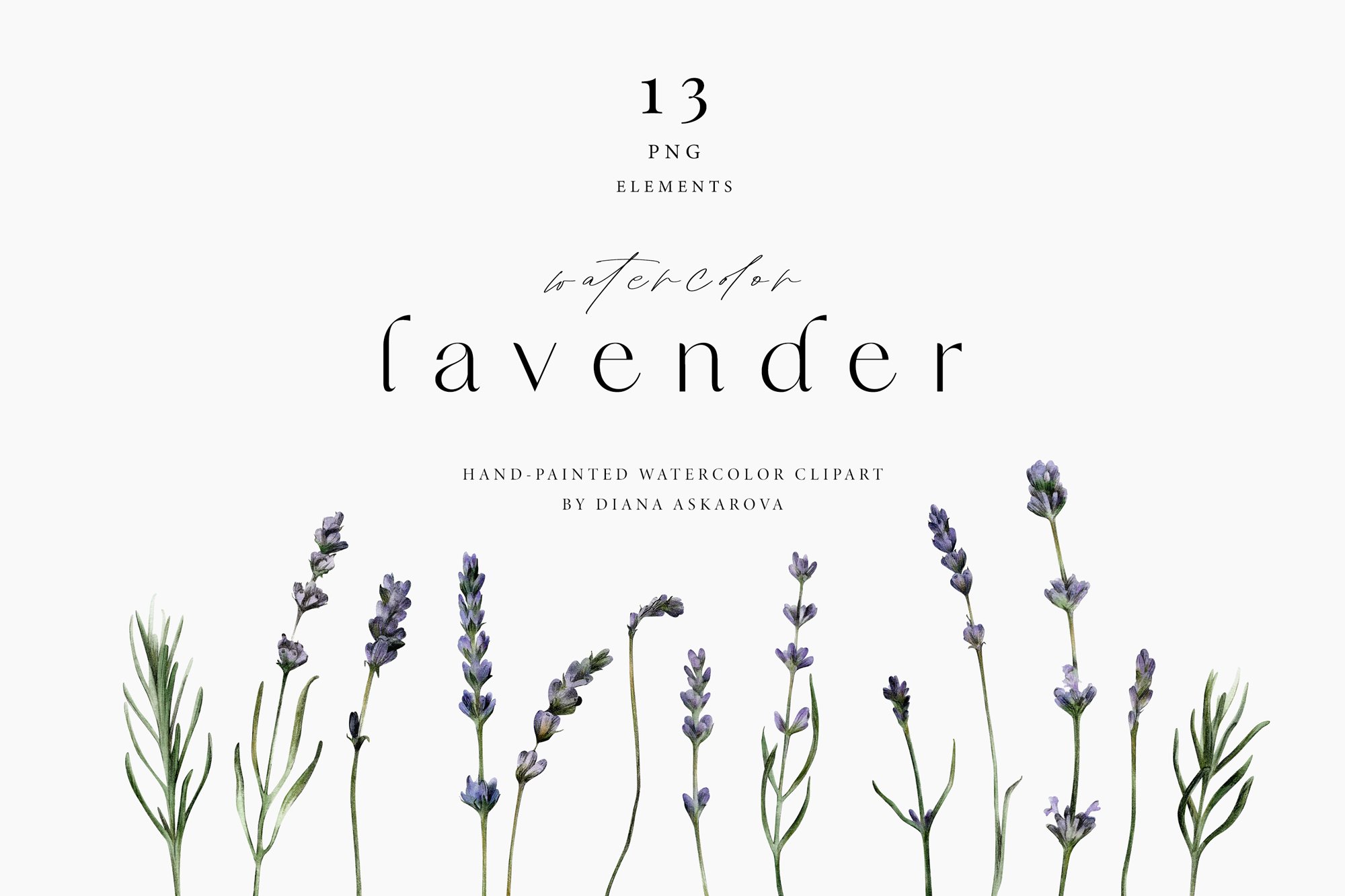 Lavender Clipart Black And White