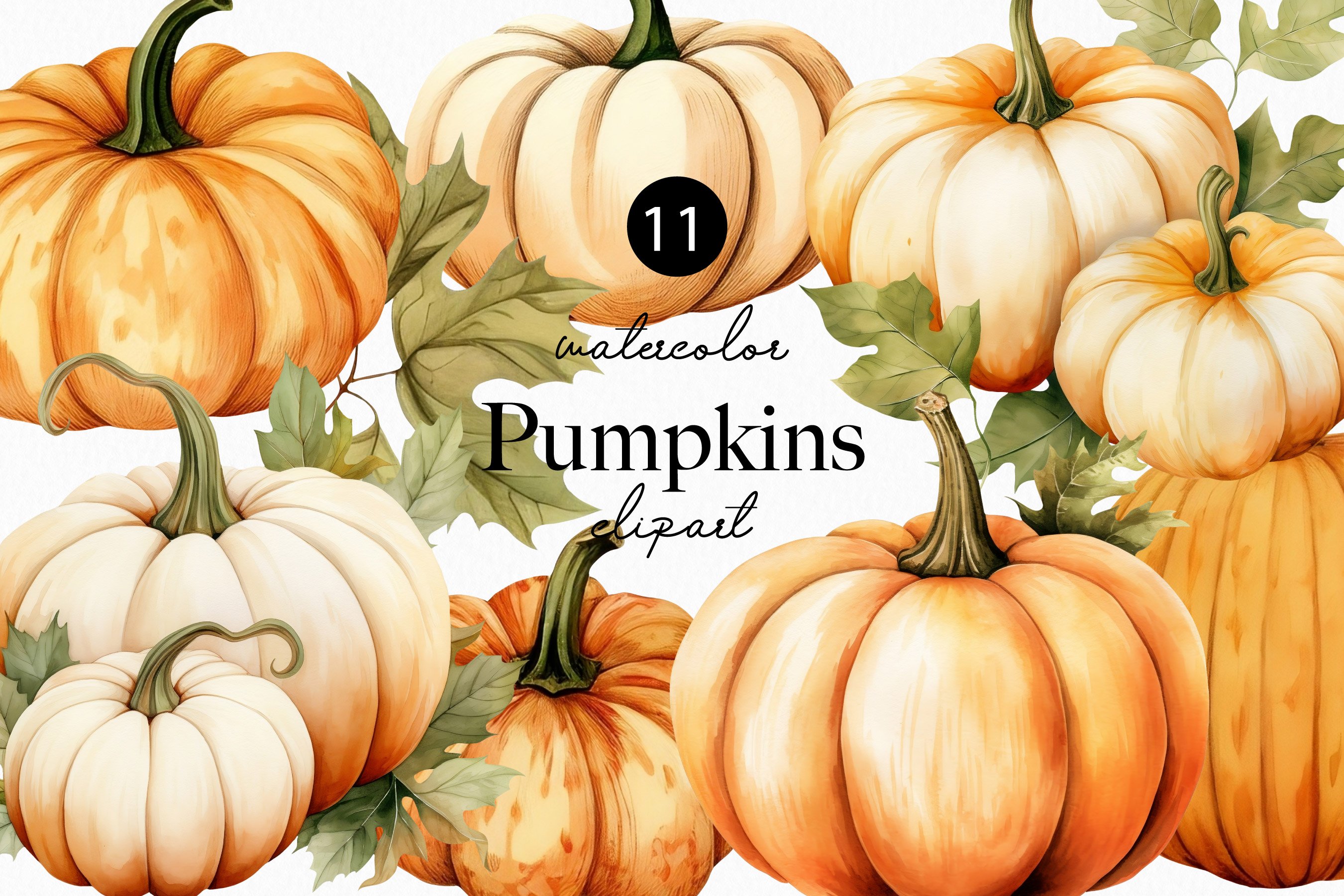 Autumn Pumpkin Clip Art