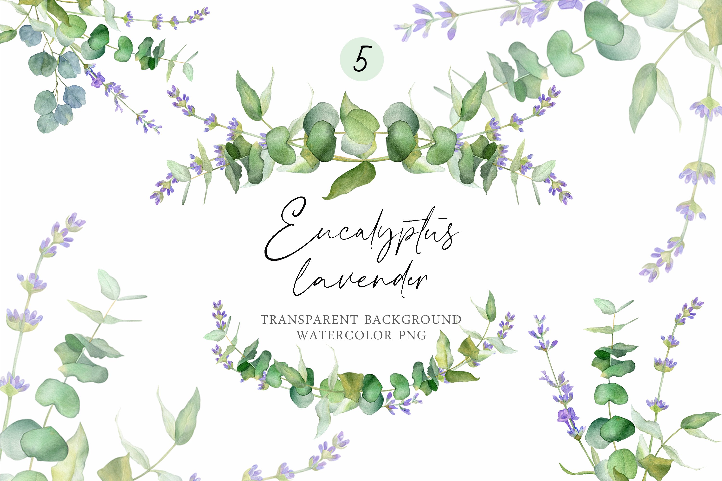 Eucalyptus lavender clipart Watercolor frame (2242076)