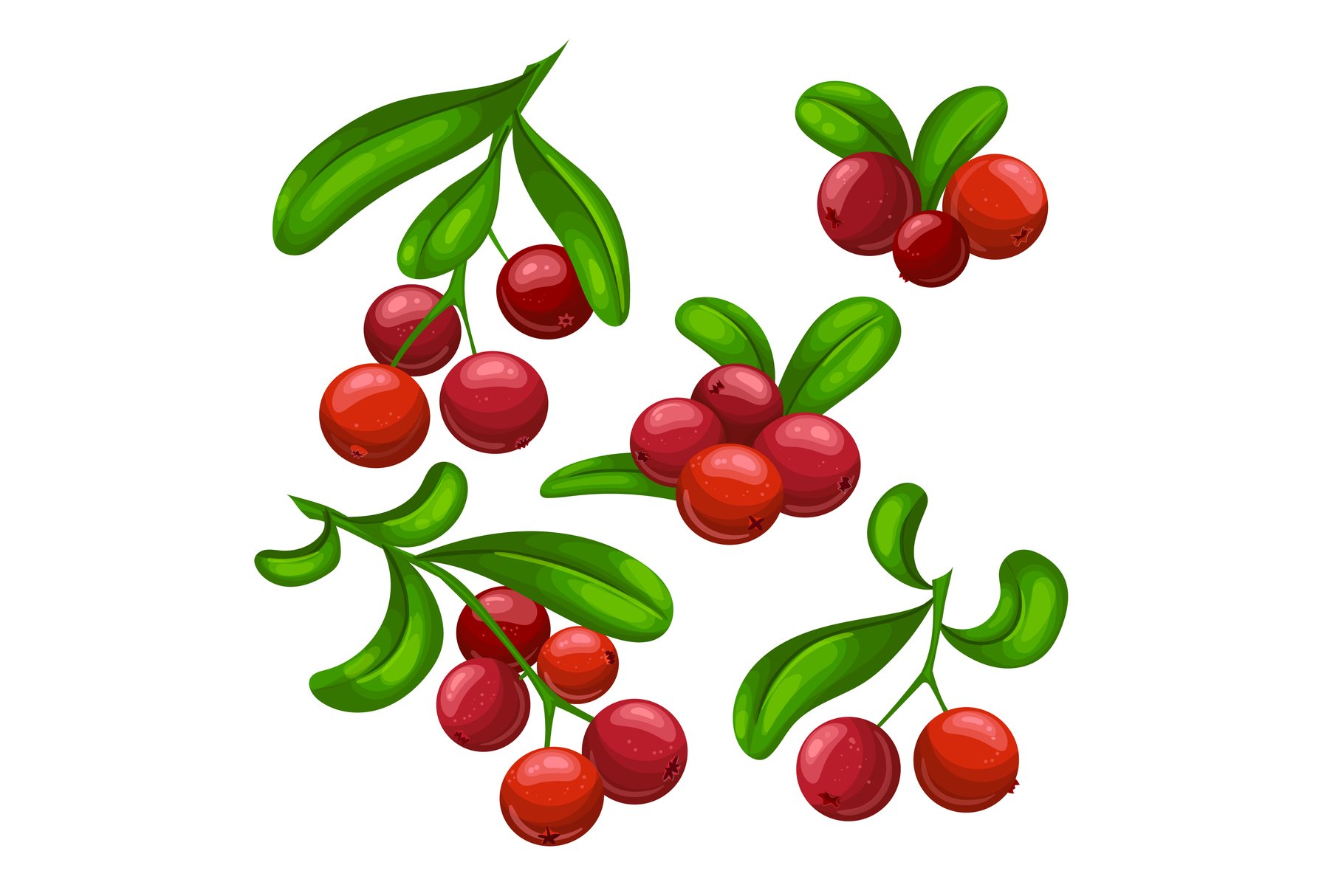 Cranberry Clipart