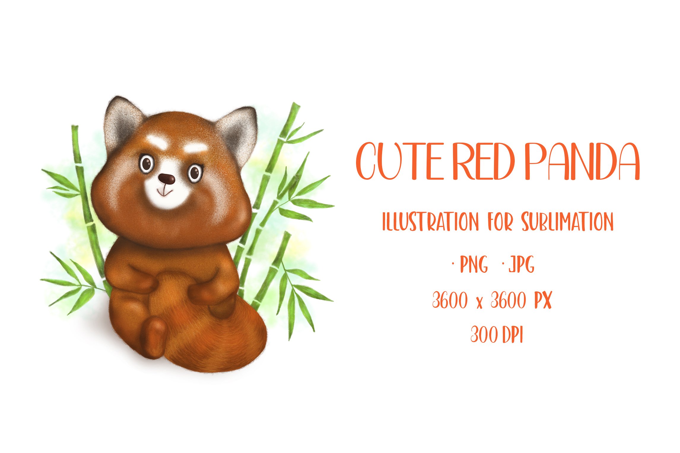 Cute Red Panda Drawn