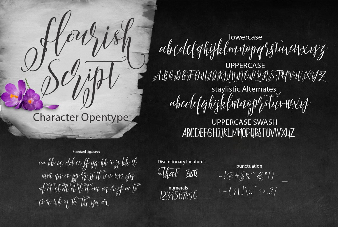 Flourish Script (26176) | Script | Font Bundles