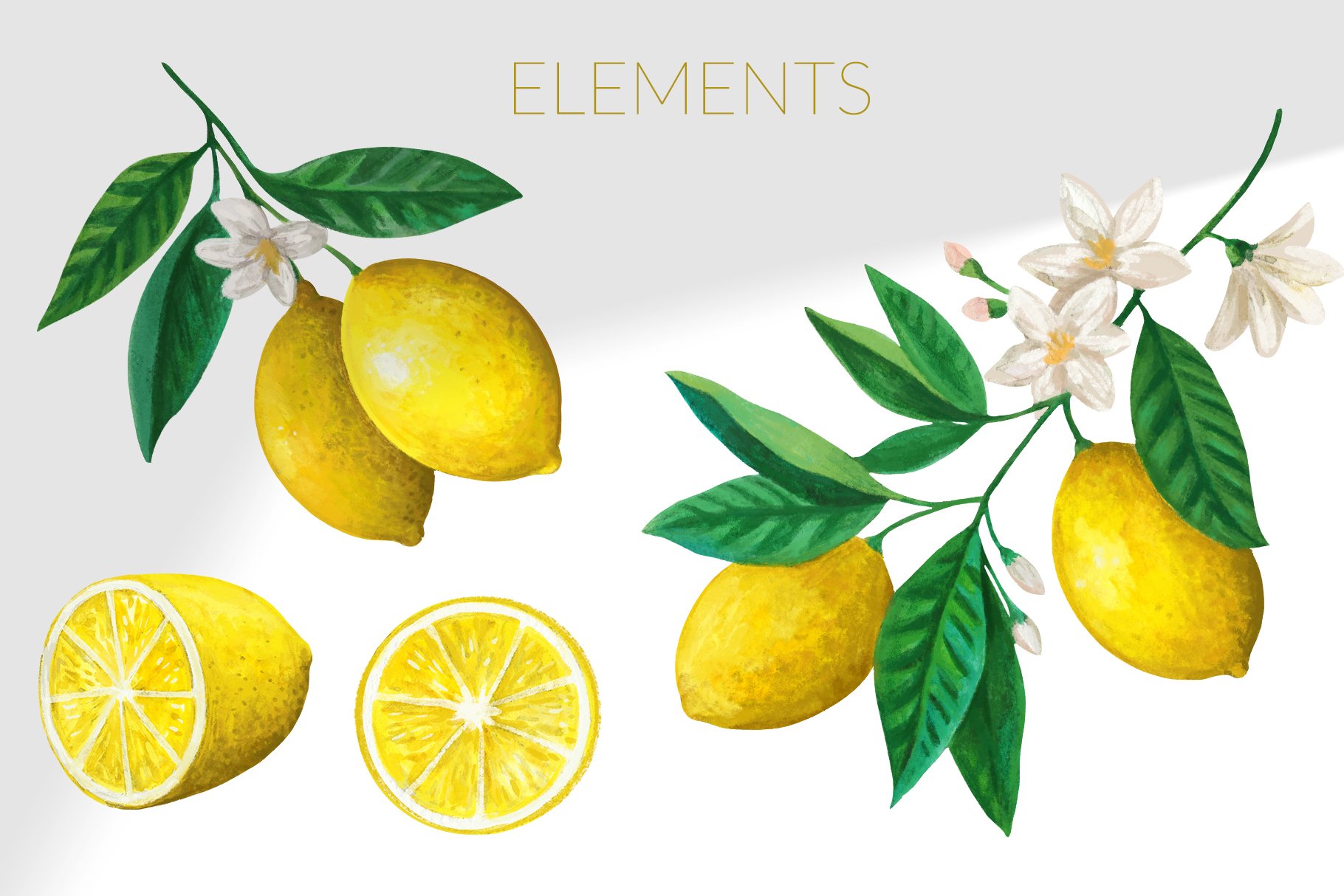 Juicy lemon elements and patterns (705401) | Illustrations | Design Bundles