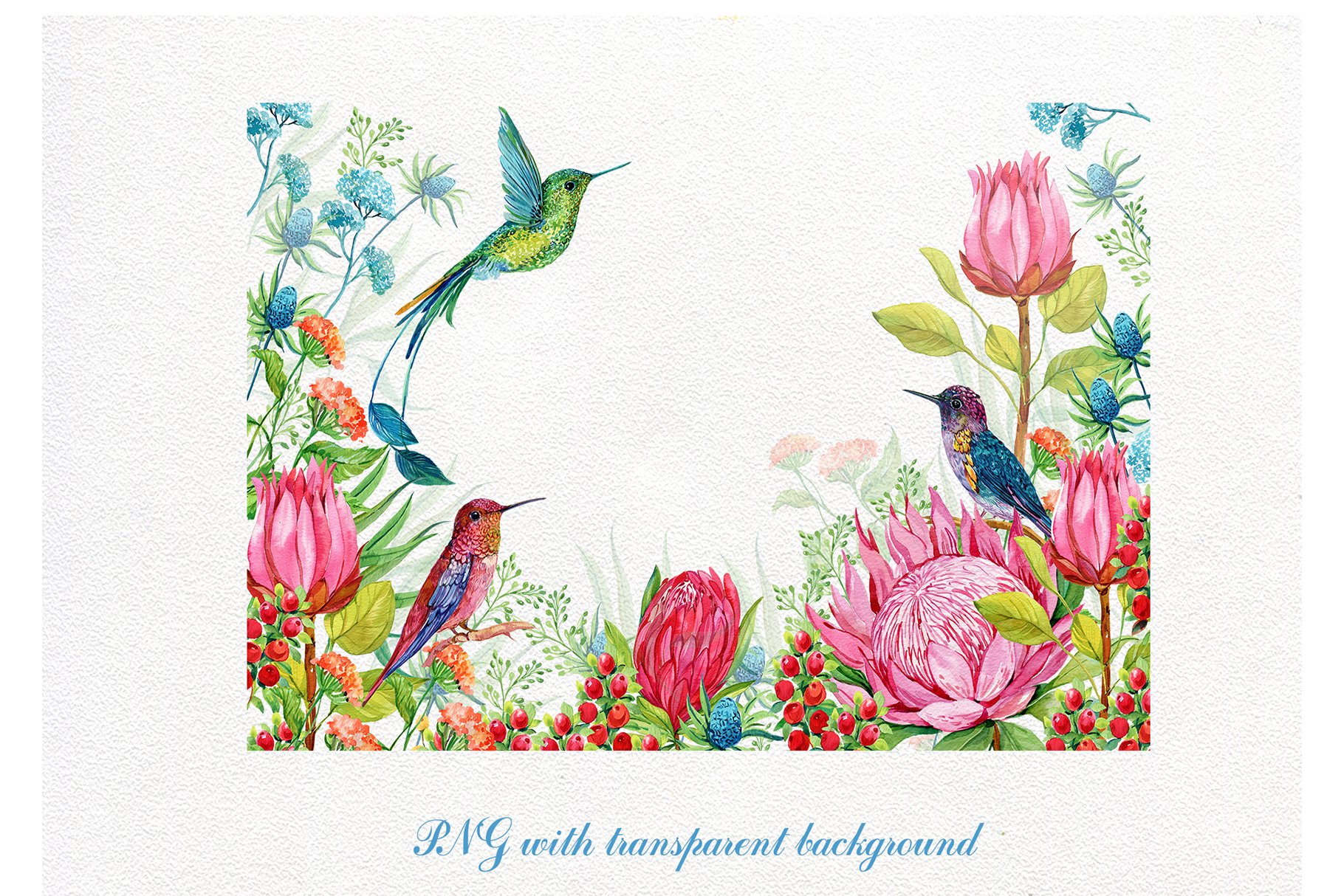 Hummingbirds Exotic Flowers Clipart (257881) | Illustrations | Design ...