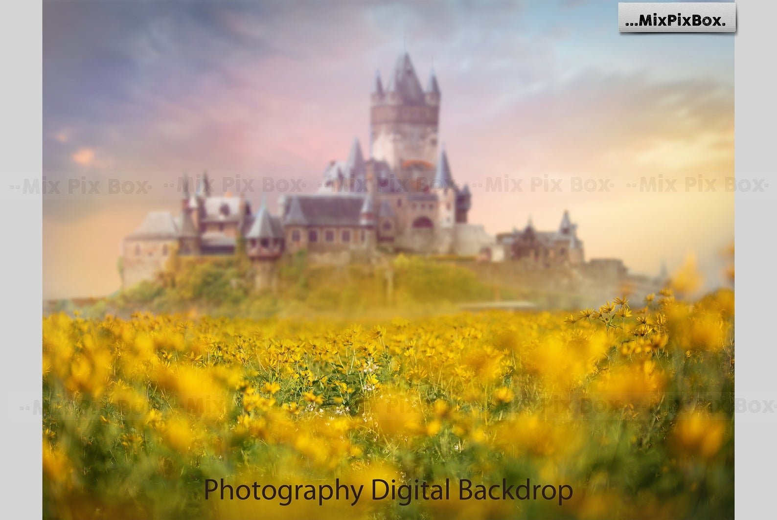 Castle Backdrops (555554) | Textures | Design Bundles